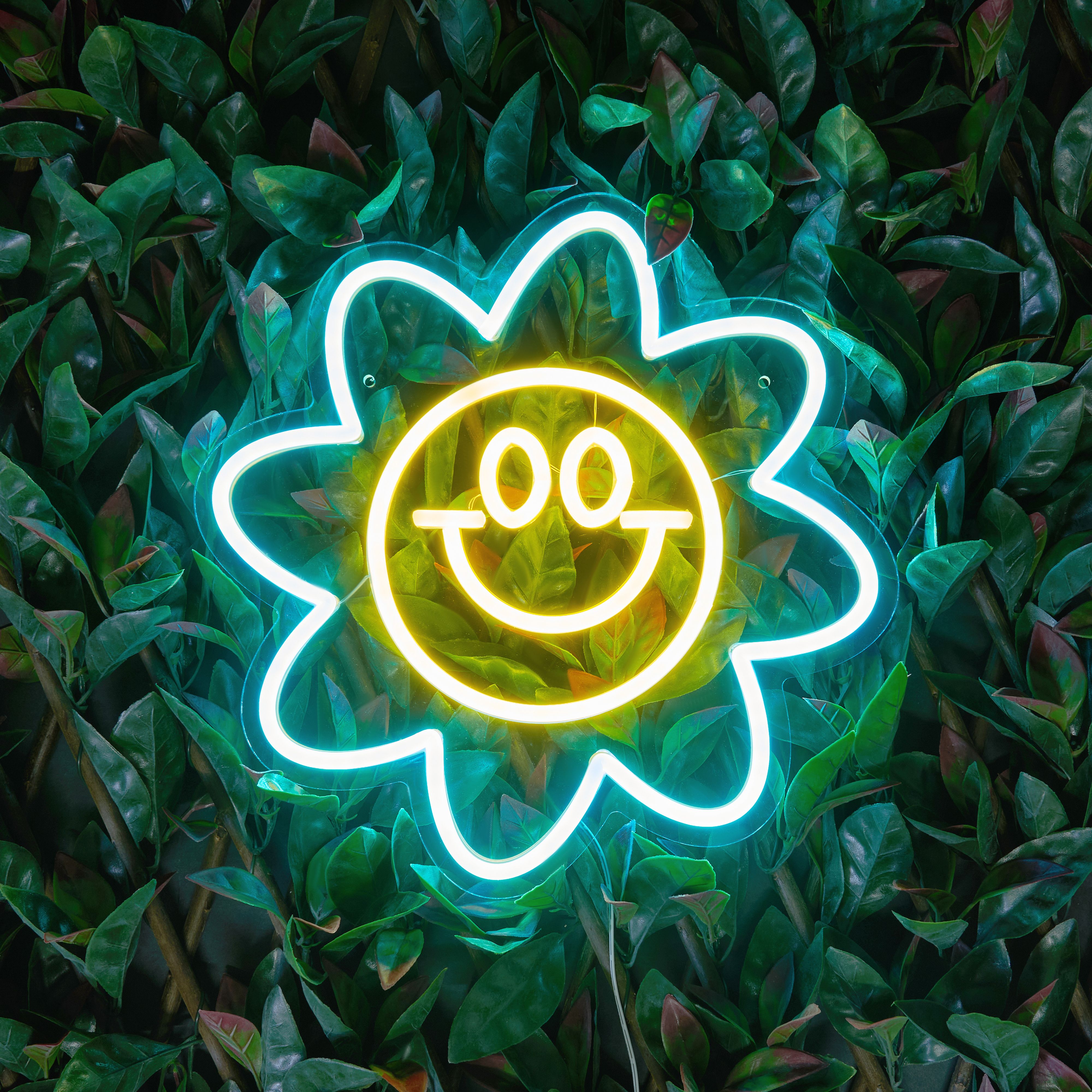 Glow Daisy Neon Yellow & Neon Green Plug-in LED Wall light