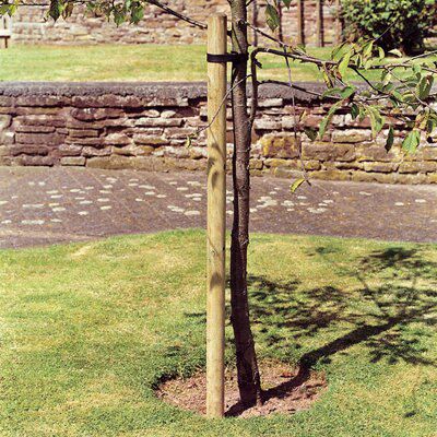 Grange Timber Tree pole 150cm