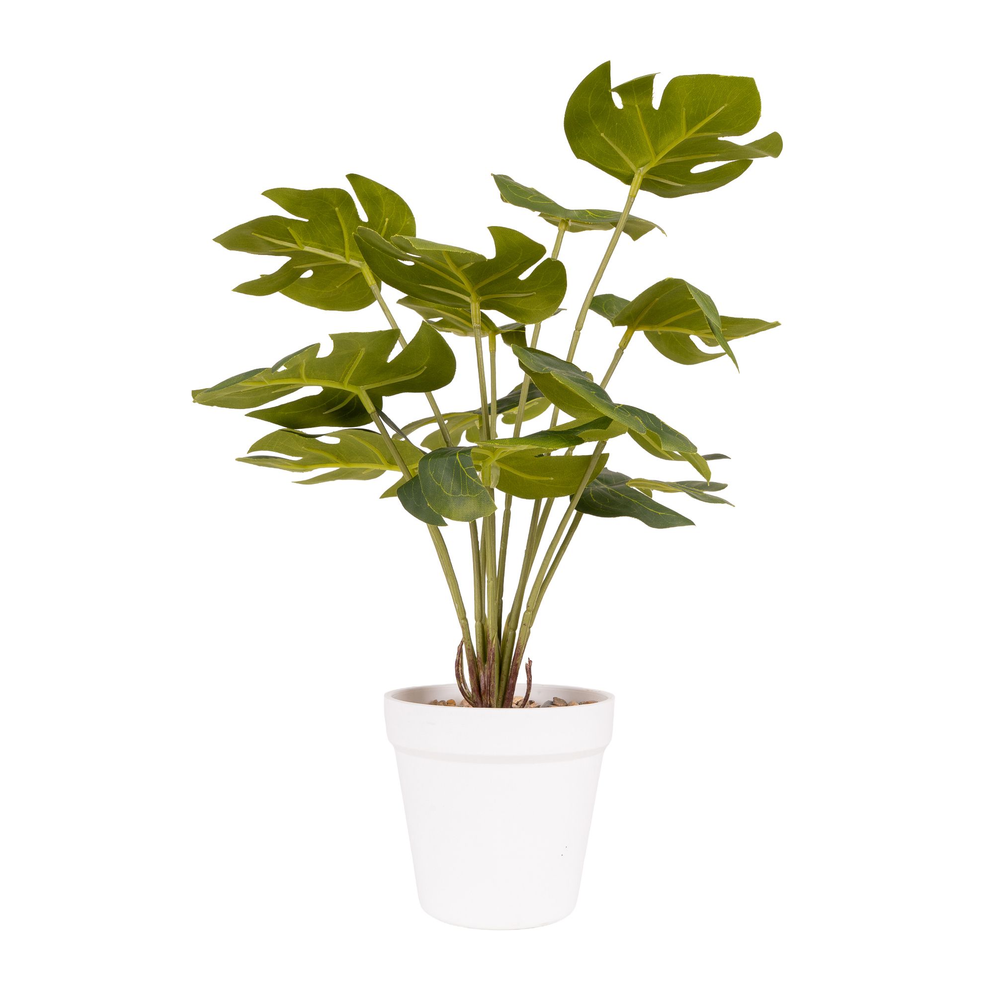 Green 37cm Cheese plant Pot with artificial plant in White Plastic Pot