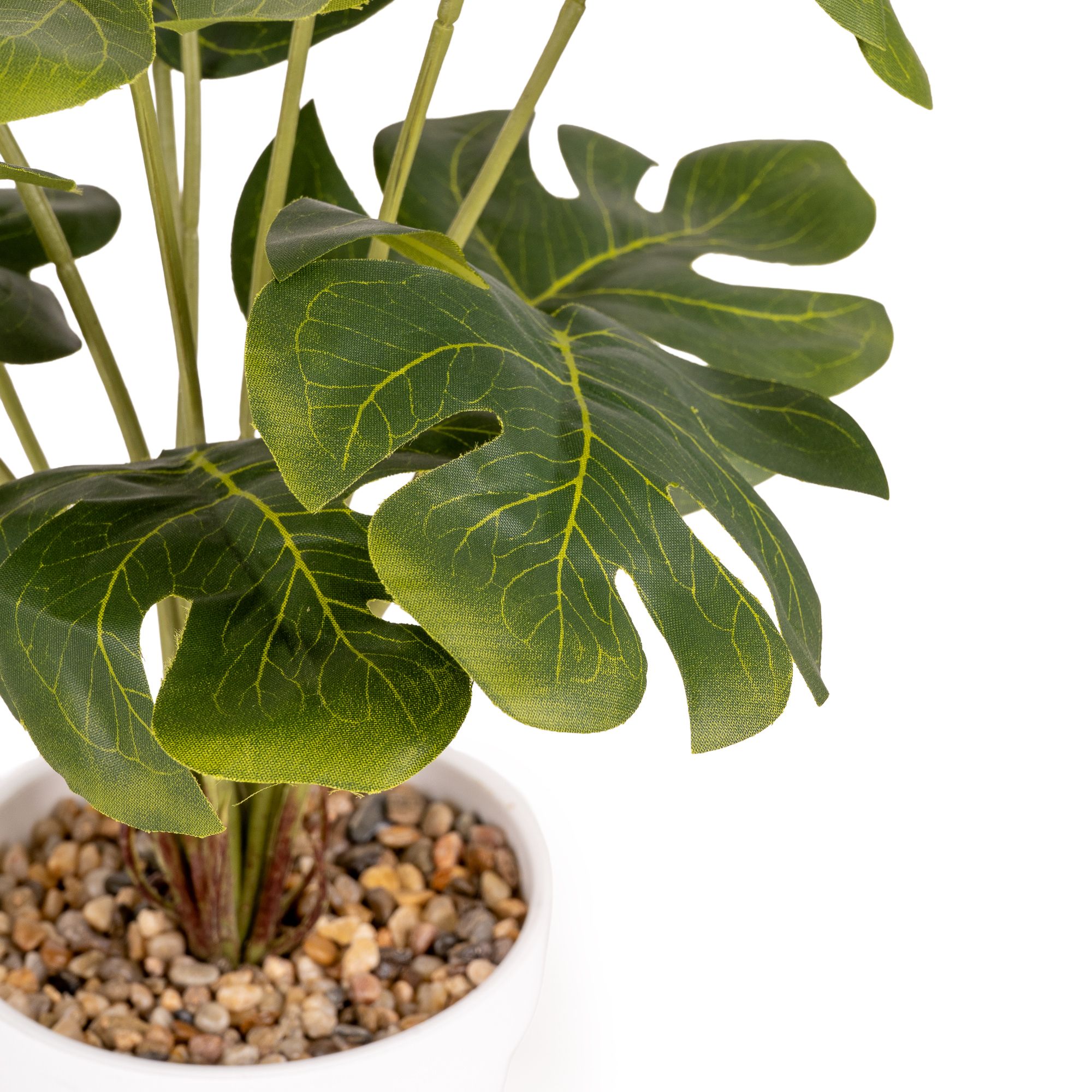 Green 37cm Cheese plant Pot with artificial plant in White Plastic Pot