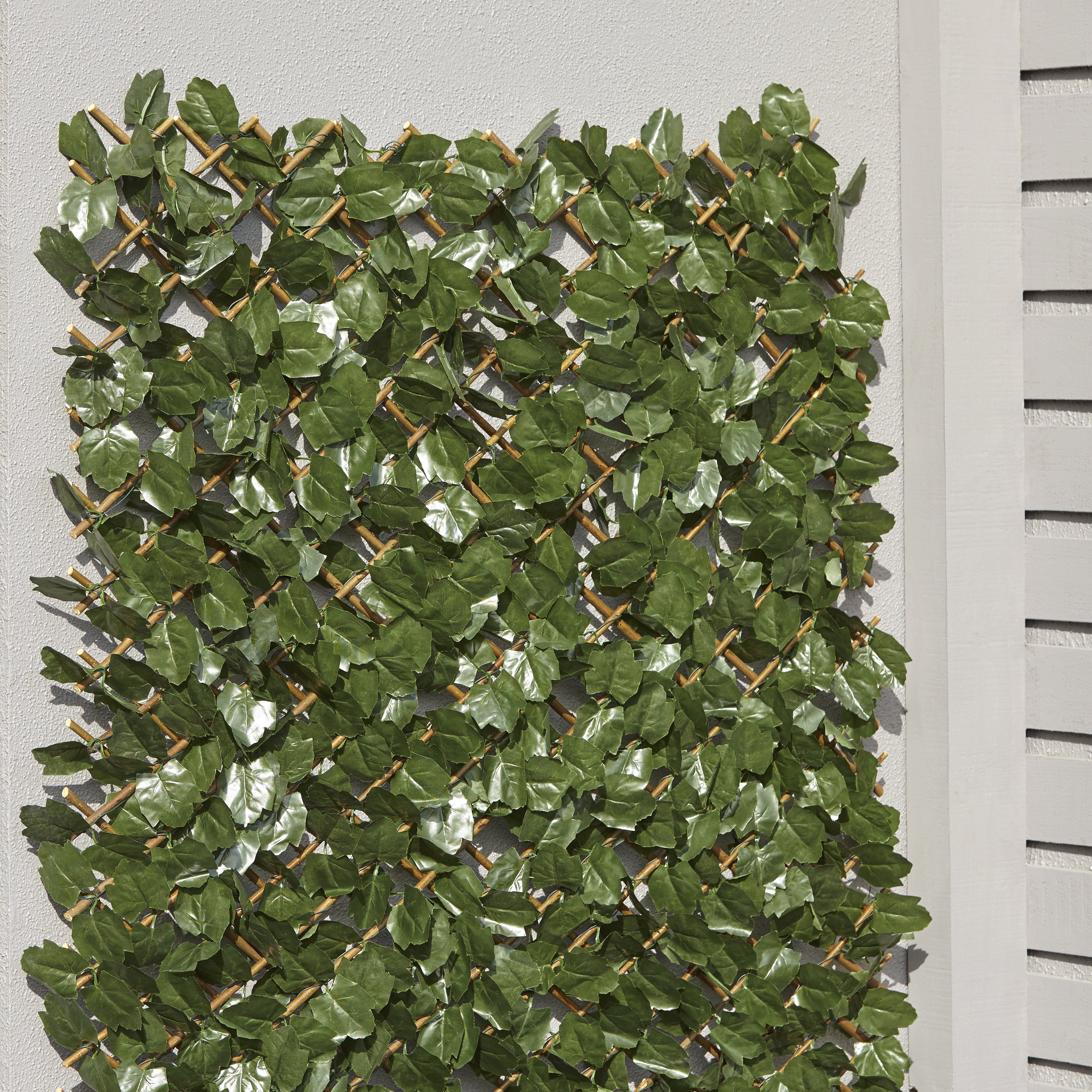 Green Garden screen (H)1m (W)2m