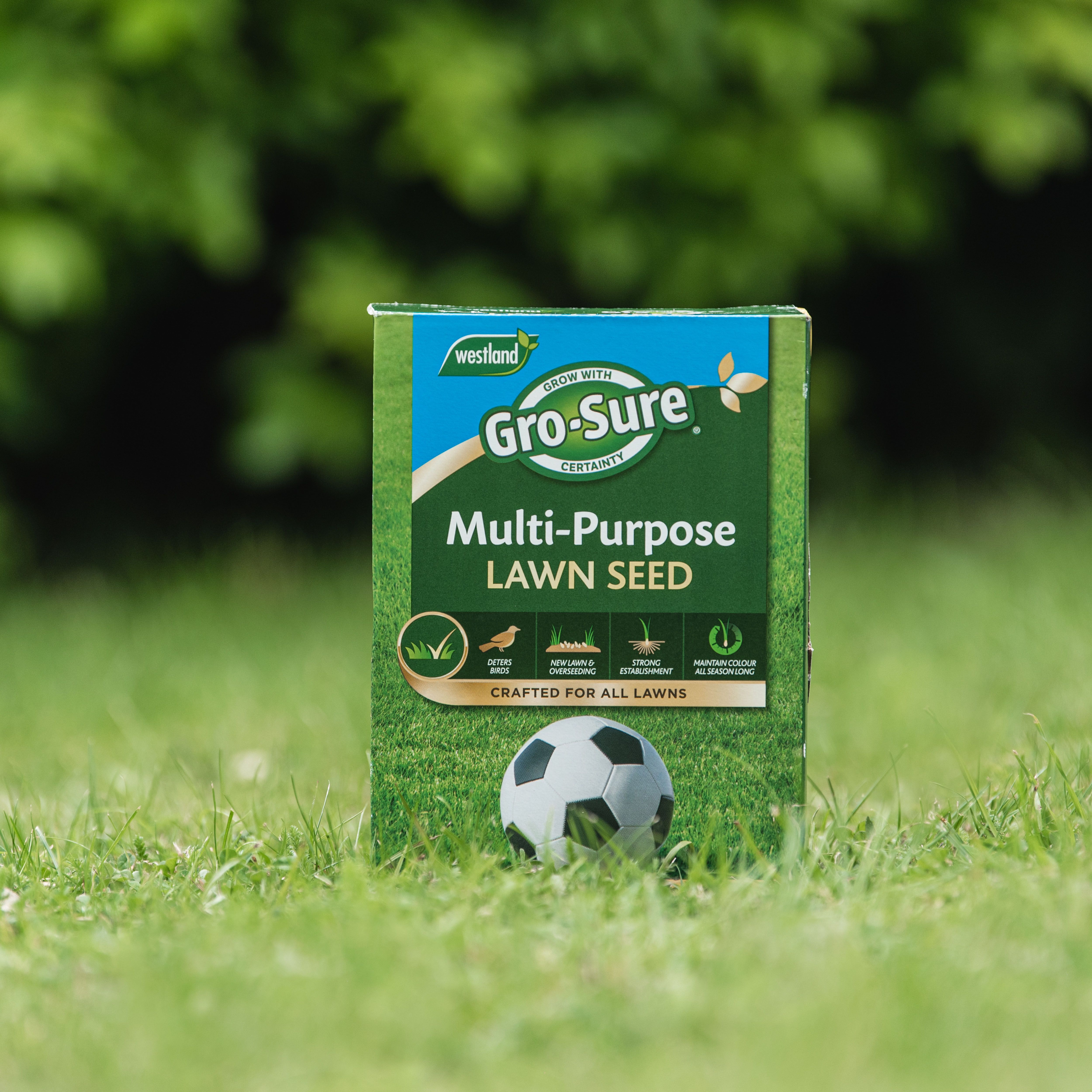 Gro-Sure Multi-Purpose Lawn seeds, 0.3kg 10m²