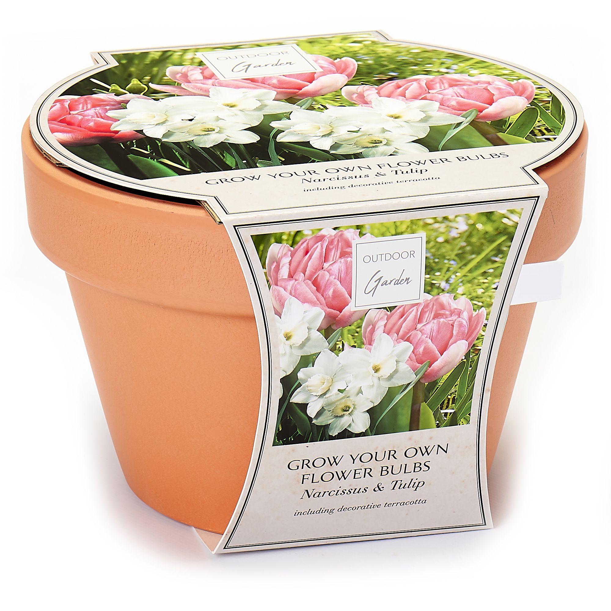 Growing kit, Set of 10