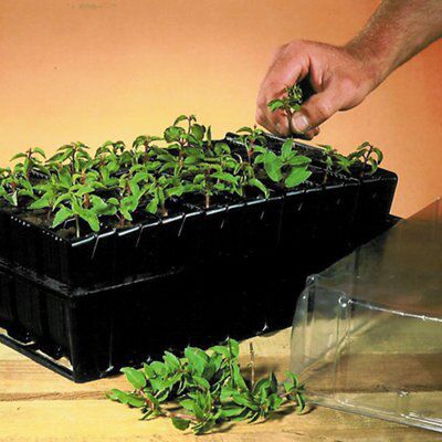 Haxnicks Deep rootrainer | DIY at B&Q