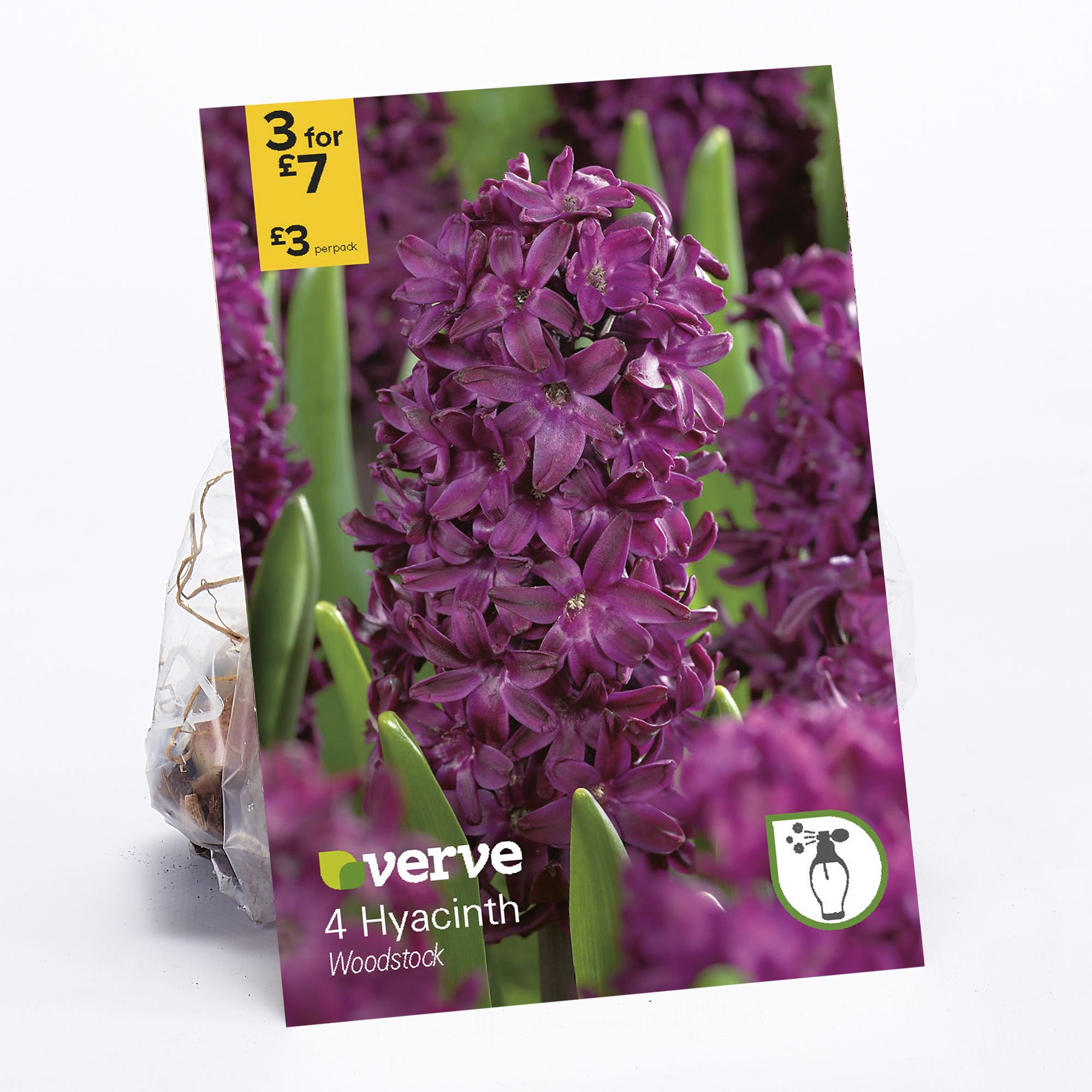 Hyacinth Mix Cerise, Blue, White 3 Flower bulbs