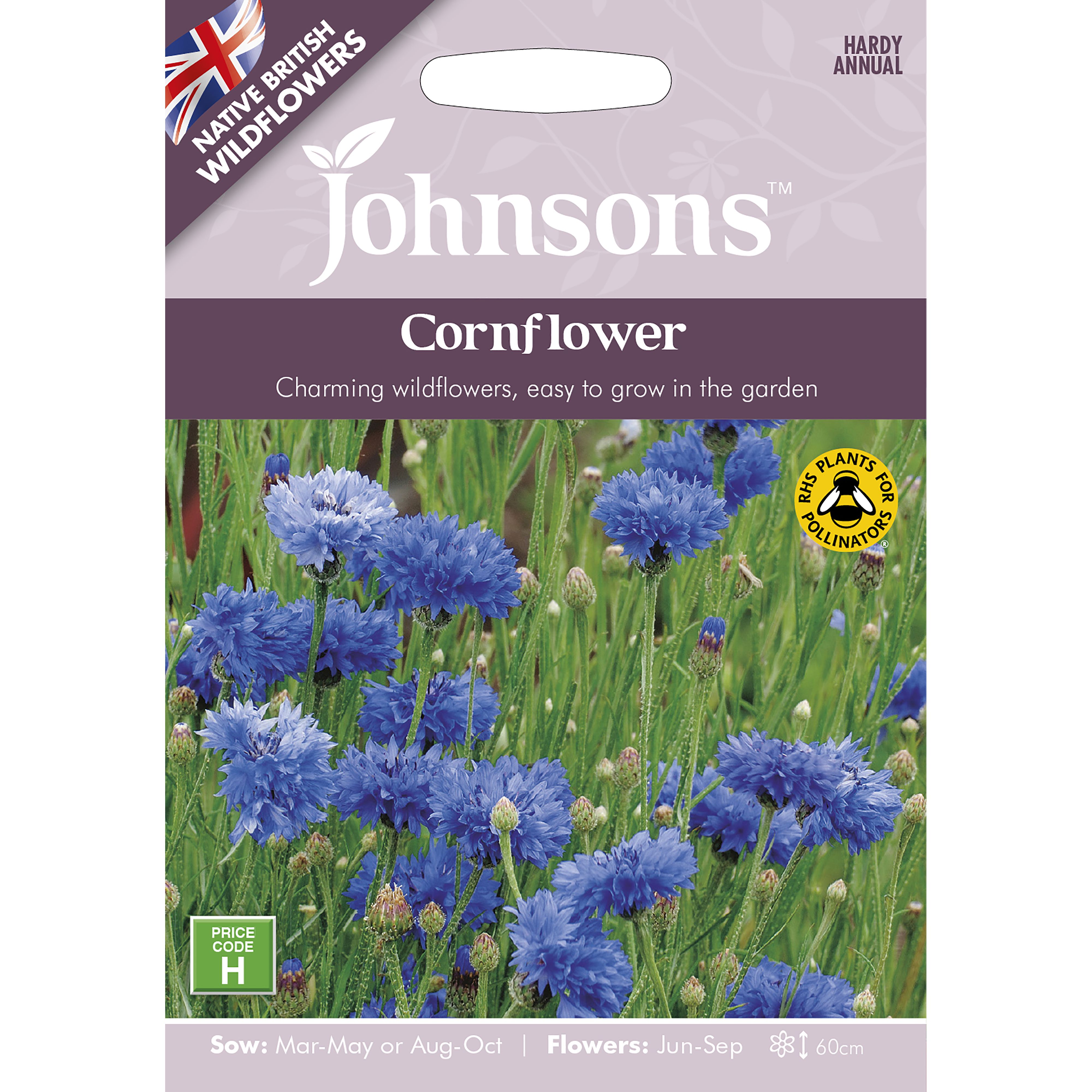 Johnsons Cornflower Wildflowers Seed