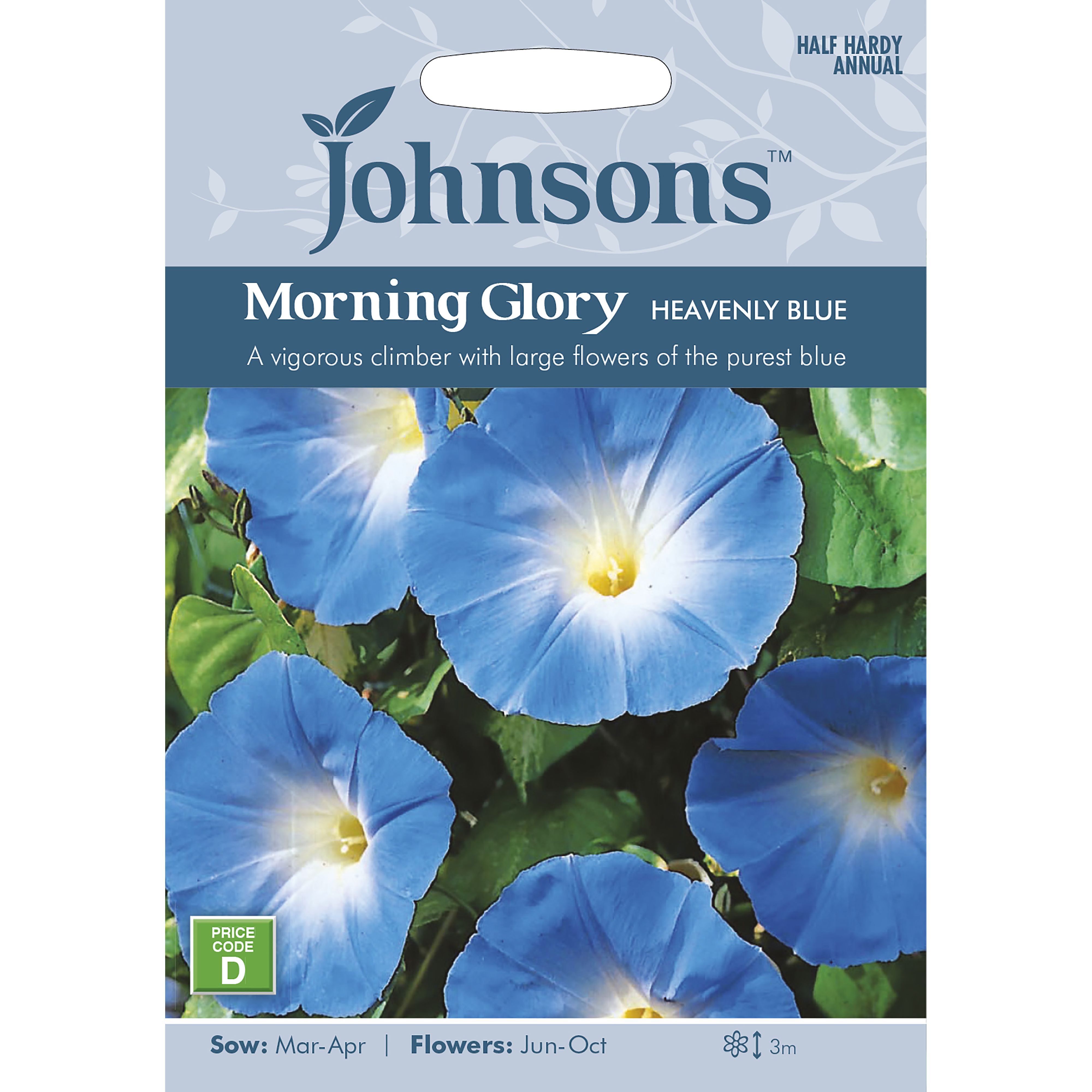 Johnsons Heavenly Blue Morning Glory Seed | DIY at B&Q