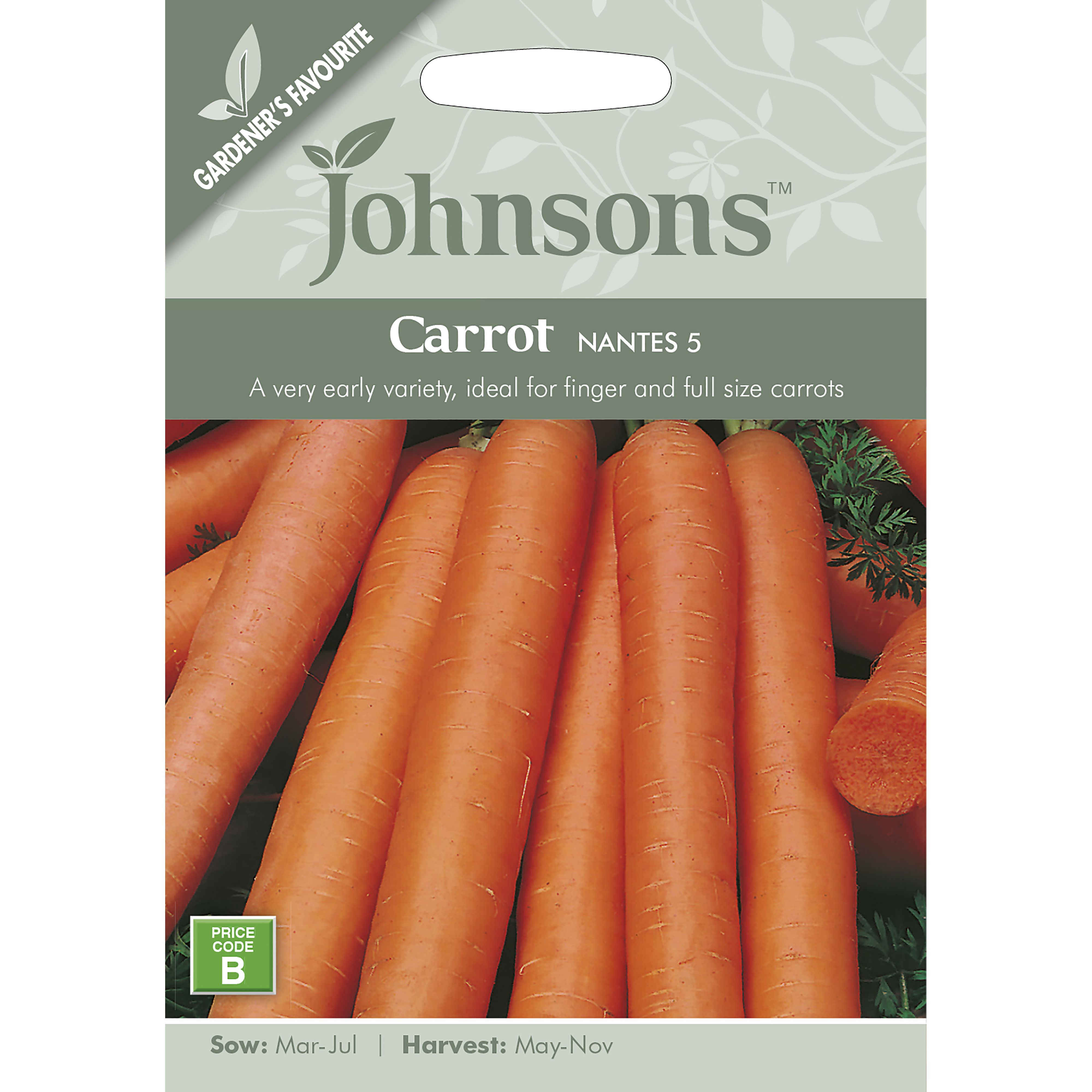Johnsons Nantes 5 Carrot Seeds | DIY at B&Q