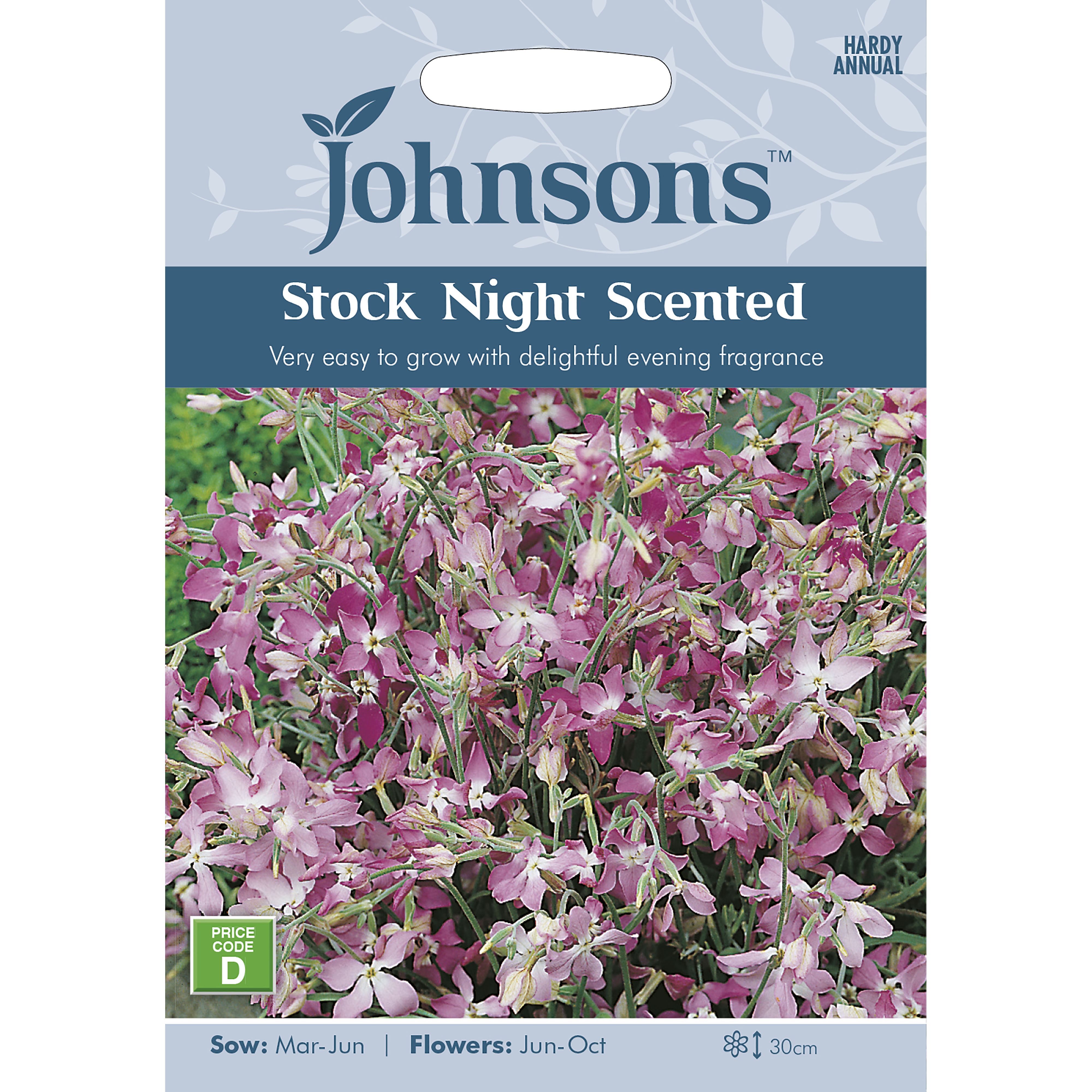 Johnsons Night Scented Stock Seed | DIY at B&Q