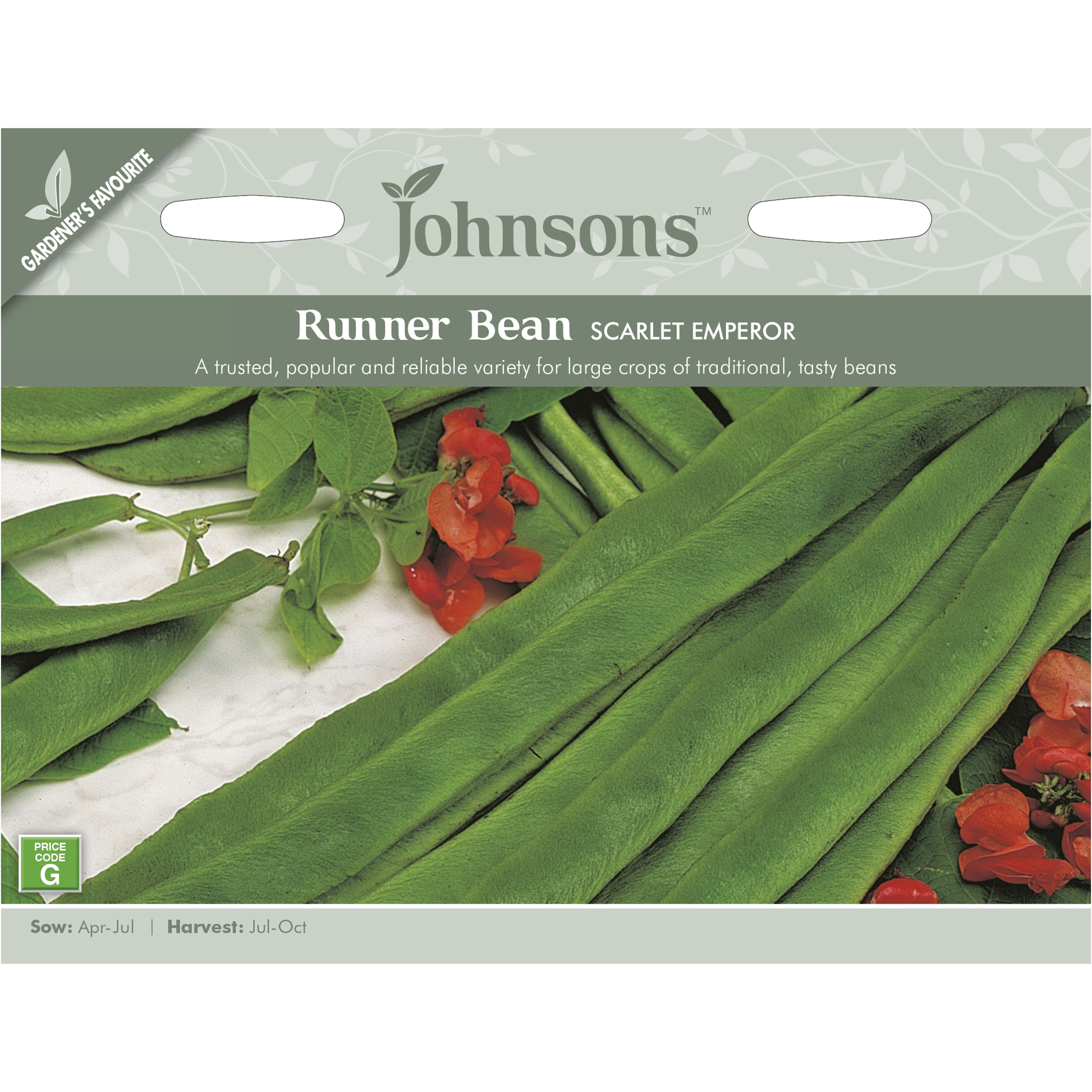 Johnsons Scarlet Emperor Runner bean Runner bean Seeds