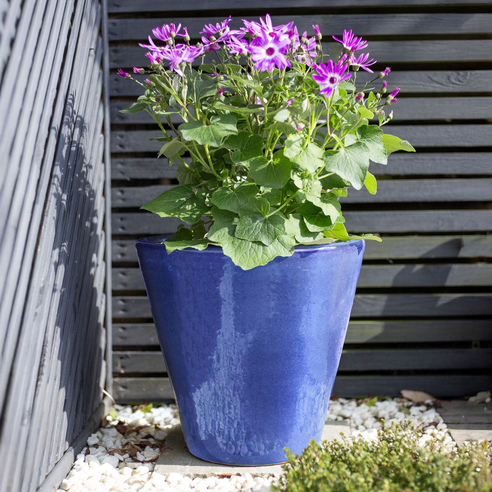 La Hacienda Planter Blue Terracotta Glazed Plant pot (Dia) 27cm, (H)24cm