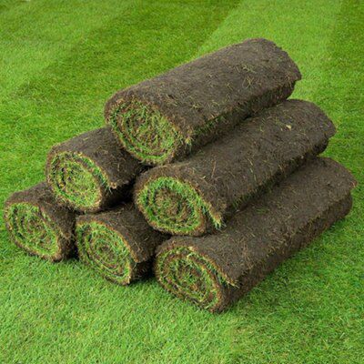 Lawn turf, 0.84m² Pack | DIY at B&Q