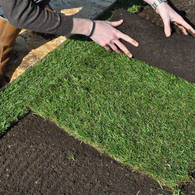 Lawn turf, 0.84m² Pack | DIY at B&Q