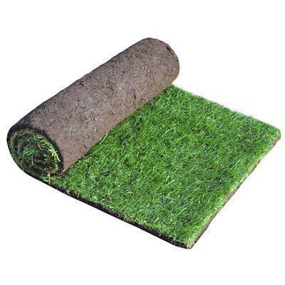 Lawn turf, 0.84m² | DIY at B&Q
