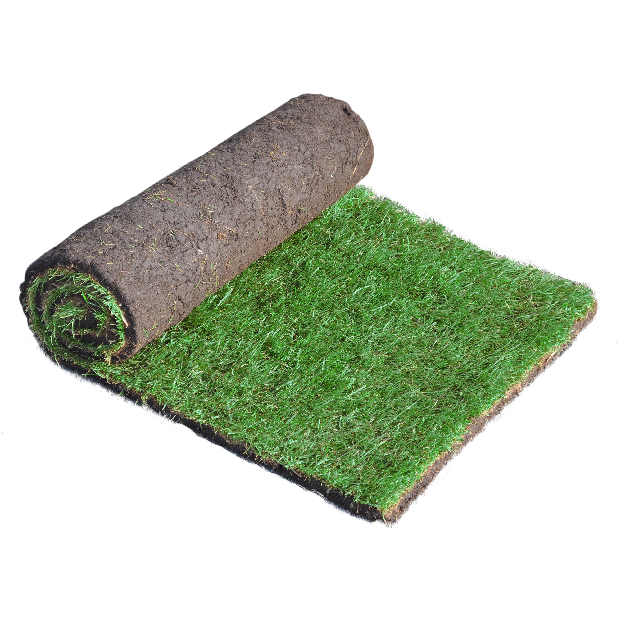 Buy Lawn turf, 59m² Pack | DIY at B&Q