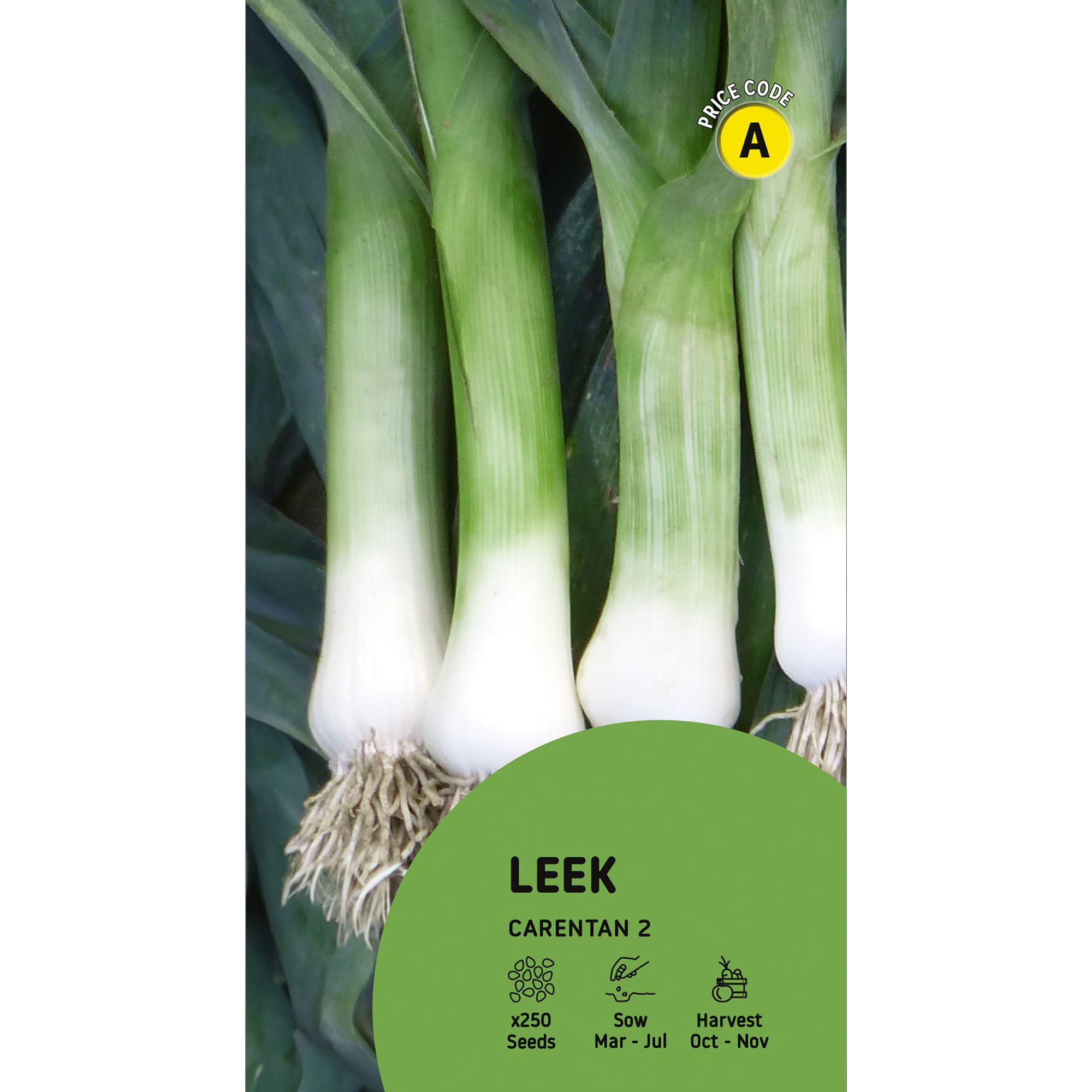 Leek 'Carentan 2' Vegetable Seeds