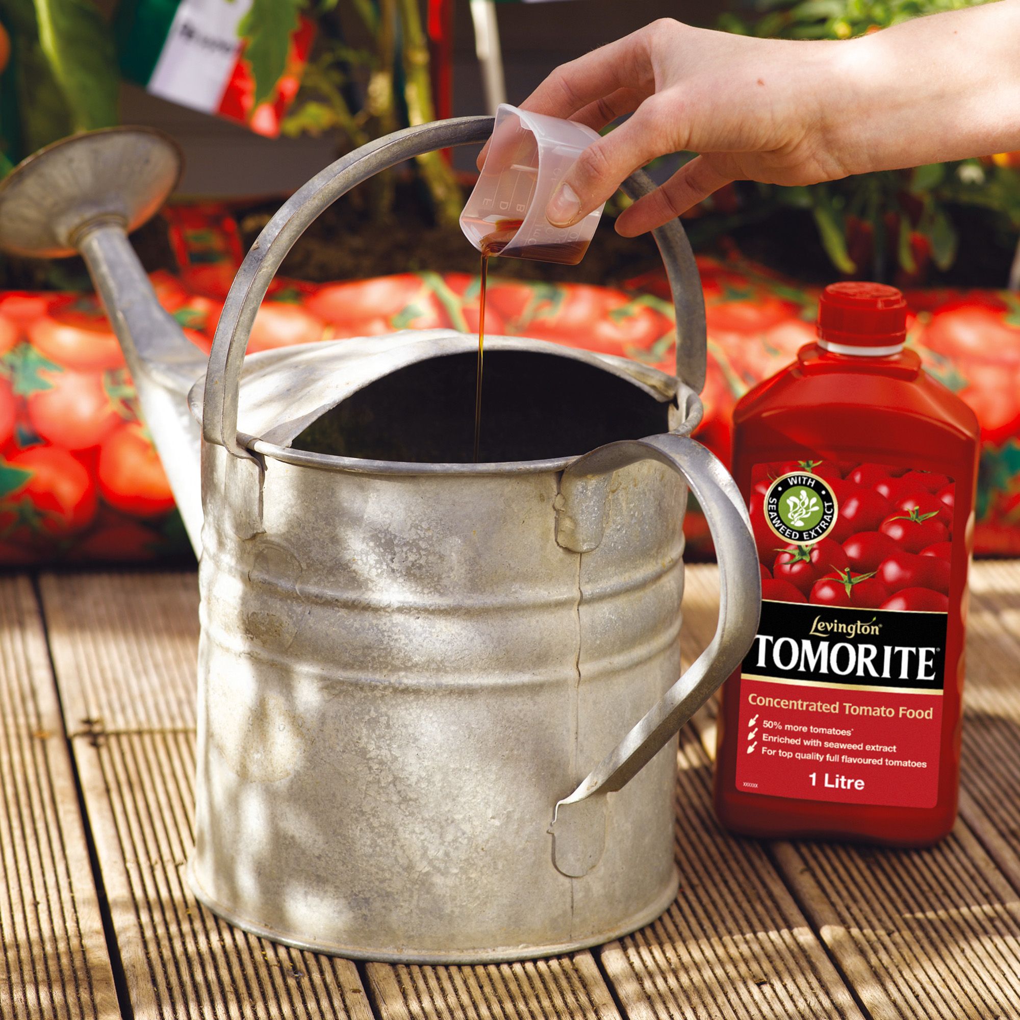 Levington Tomorite Liquid Plant feed, 1L