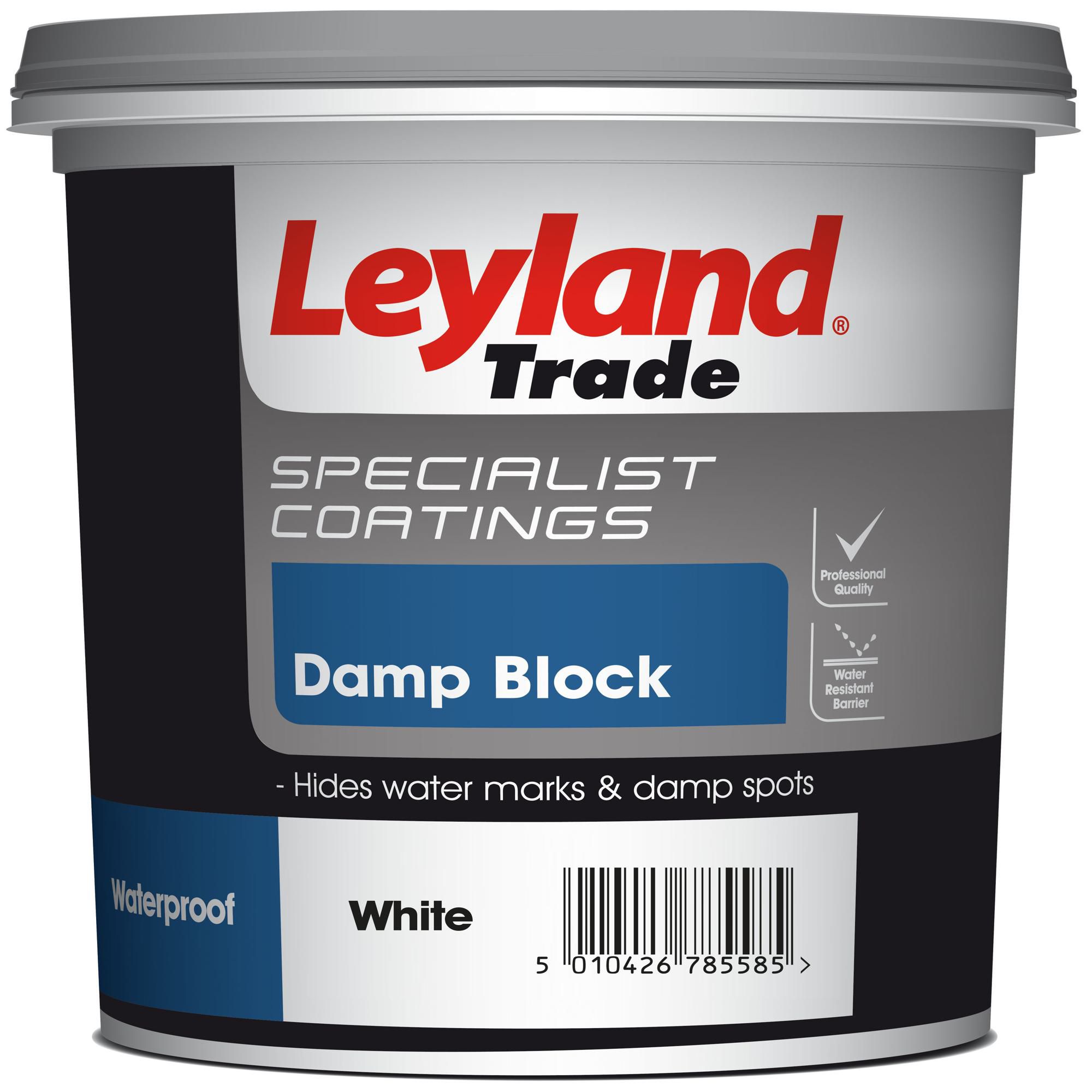 Leyland Trade Specialist coatings White Damp block paint, 0.75L | DIY ...