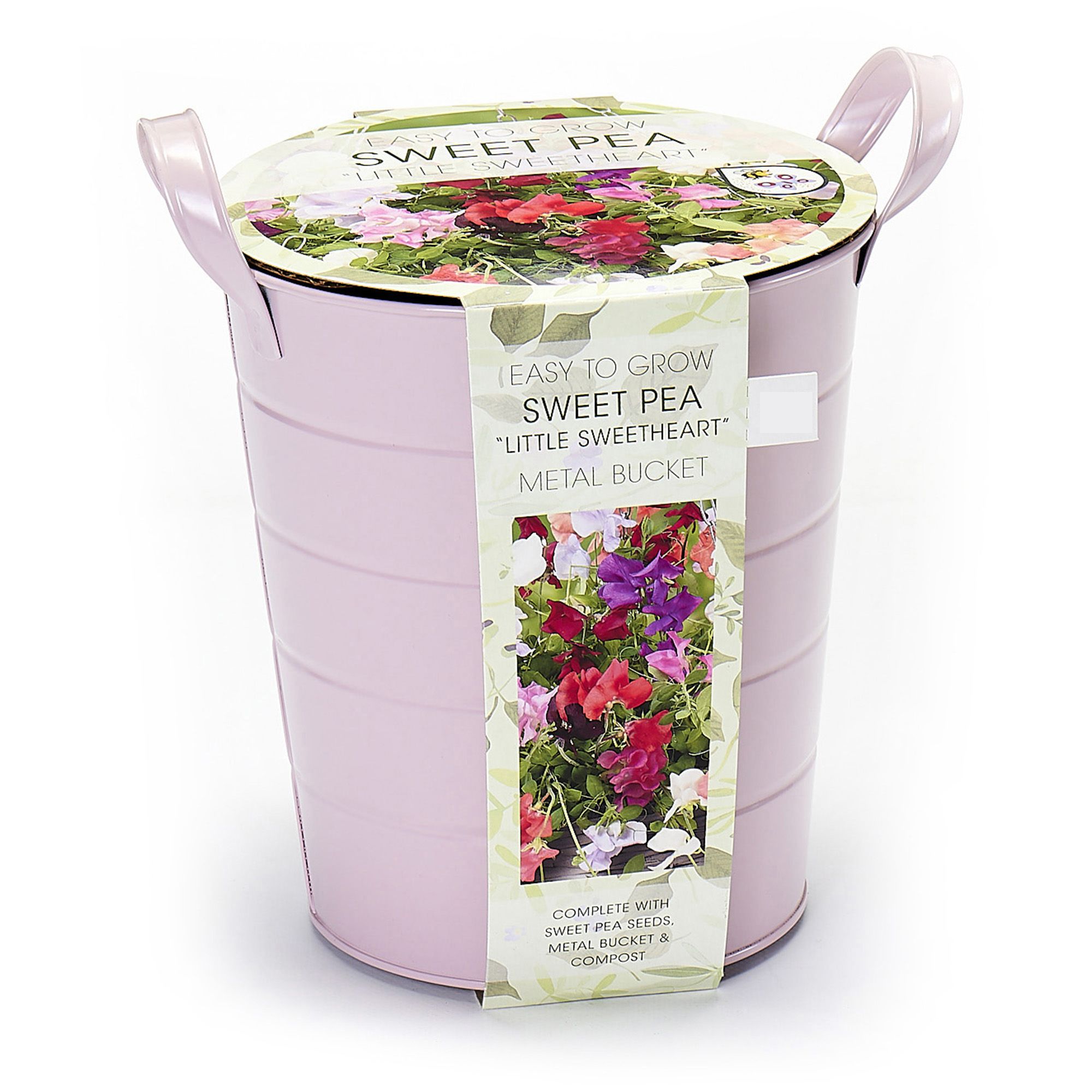 Little Sweetheart Pea Growing kit | DIY at B&Q