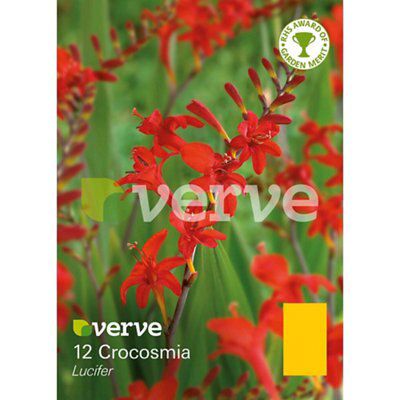 Lucifer Flower bulb | DIY at B&Q