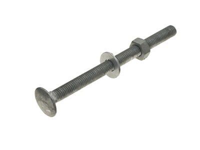 M8 Cup square bolt (L) 110mm (Dia) 8mm, Pack of 10 | DIY at B&Q