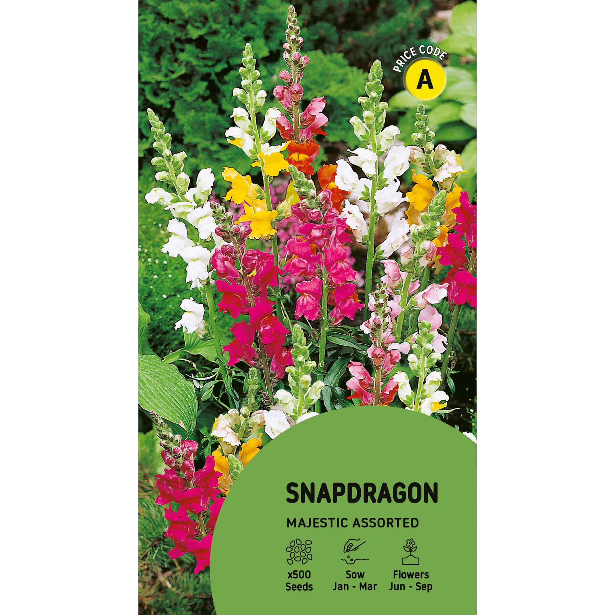 Majestic Assorted Snapdragon Seeds