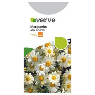Marguerite Seed | DIY at B&Q