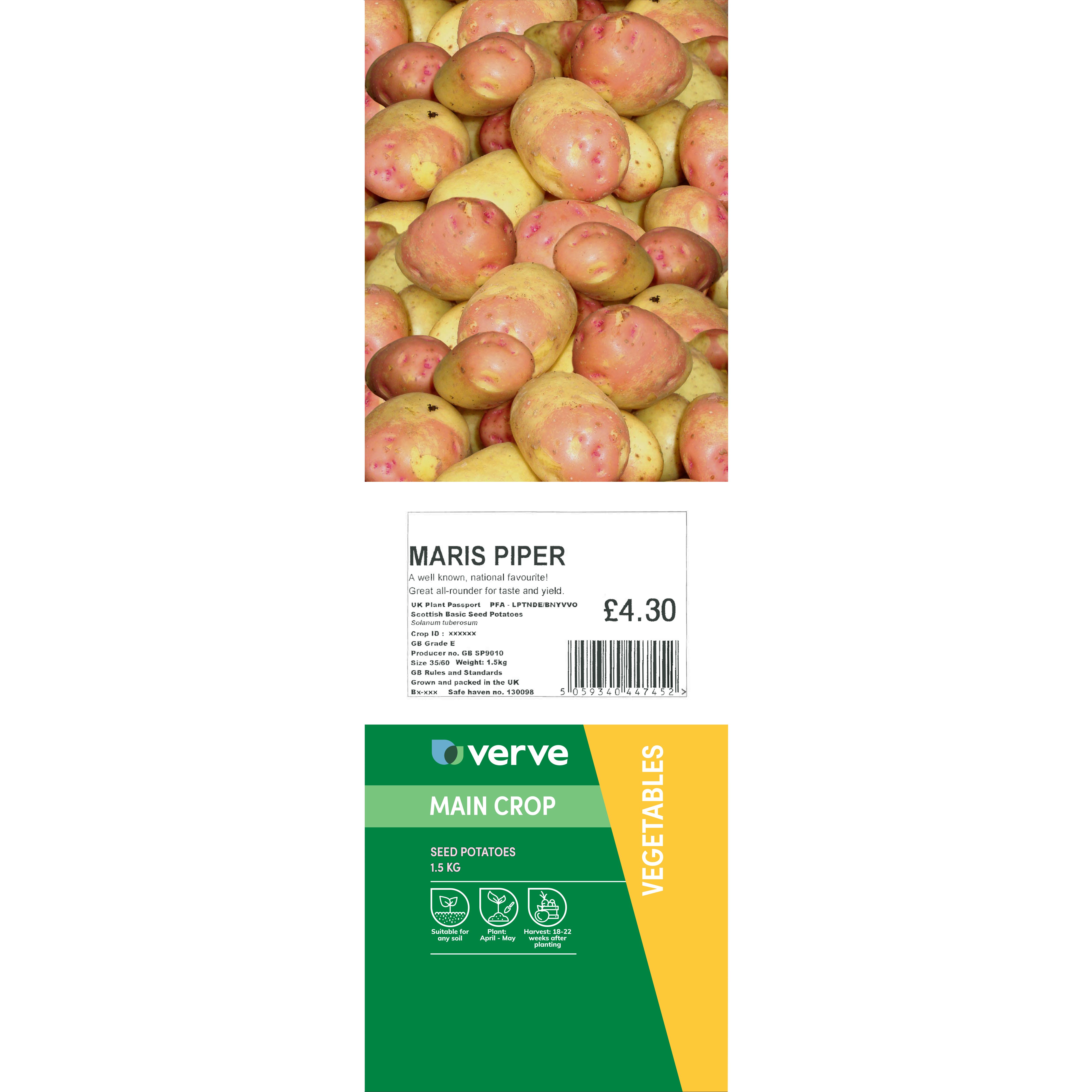Maris Piper Potato Seed | DIY at B&Q