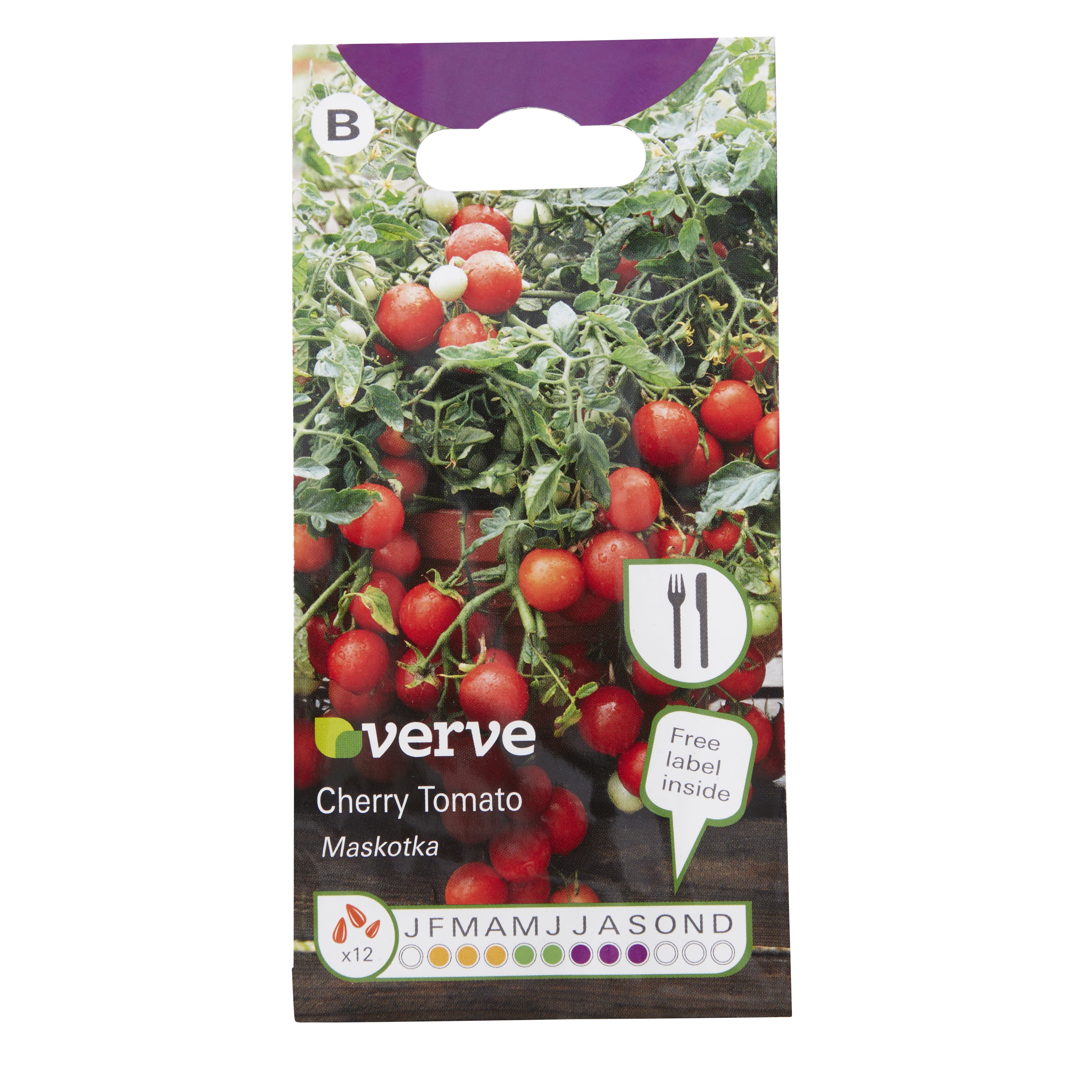 Maskotka cherry tomato Seed | DIY at B&Q