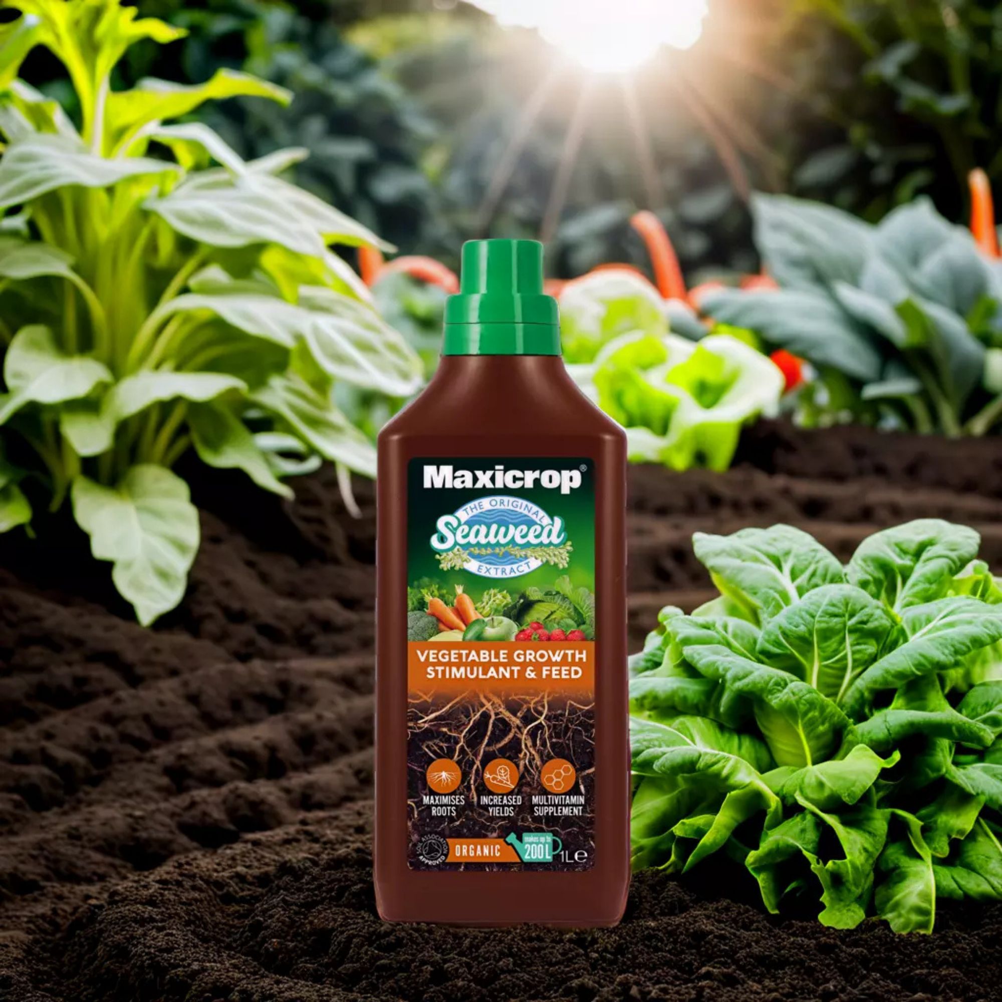 MAXICROP ALL PURPOSE LIQUID VEGETABLE GROWTH STIMULANT & FEED, 1L
