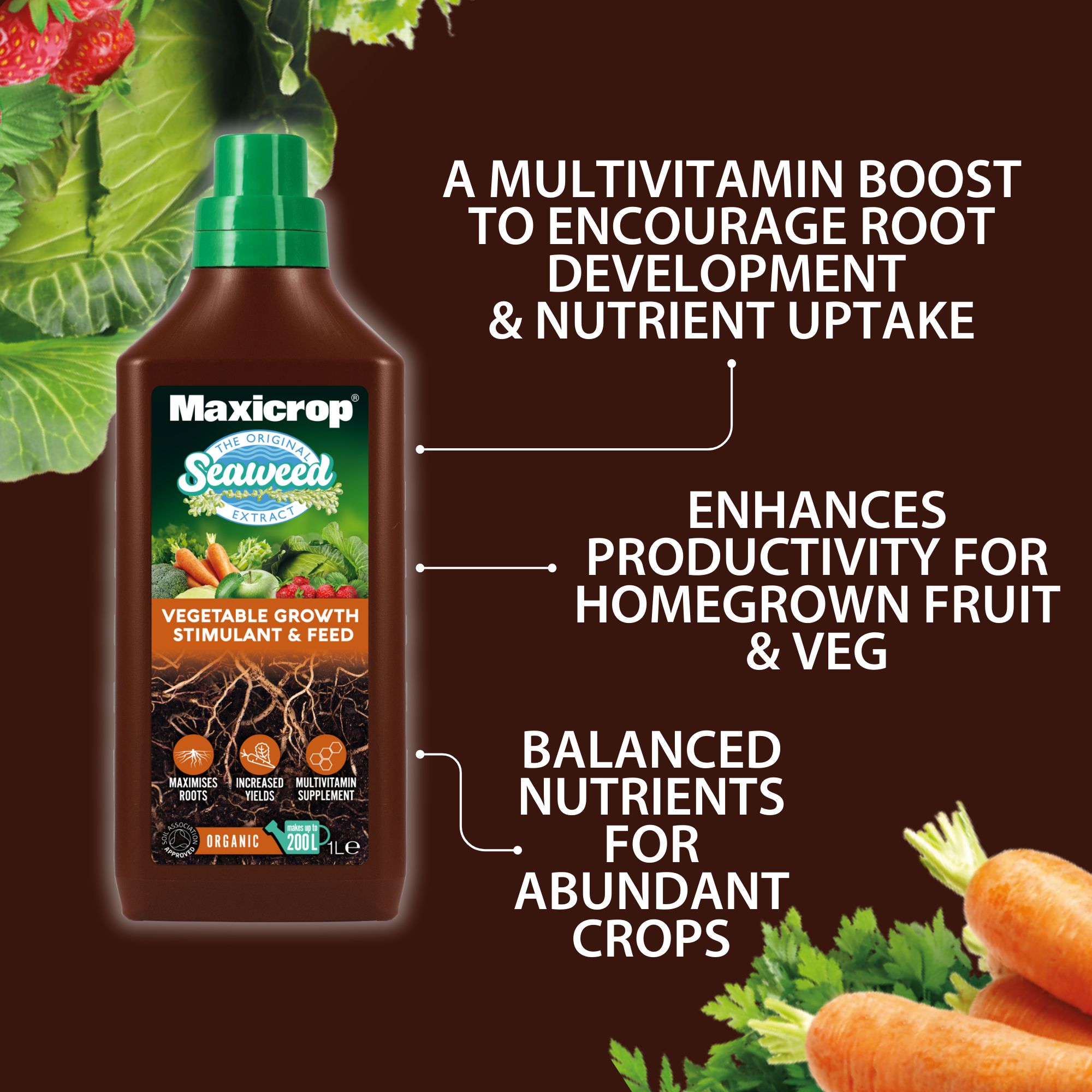 Maxicrop All purpose Liquid Vegetable growth stimulant & feed, 1L