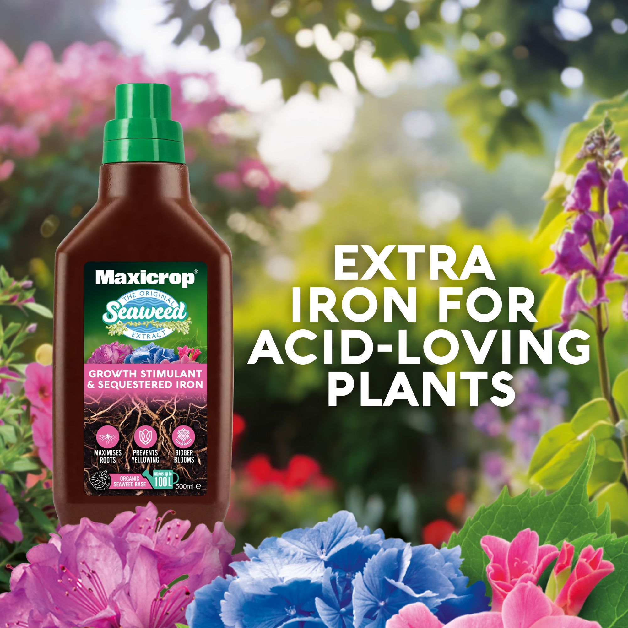 Maxicrop Liquid Growth stimulant & sequestered iron, 500ml