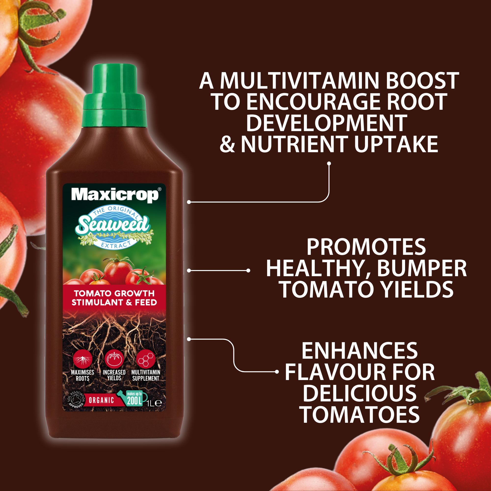 Maxicrop Liquid Tomato growth stimulant & feed, 1L
