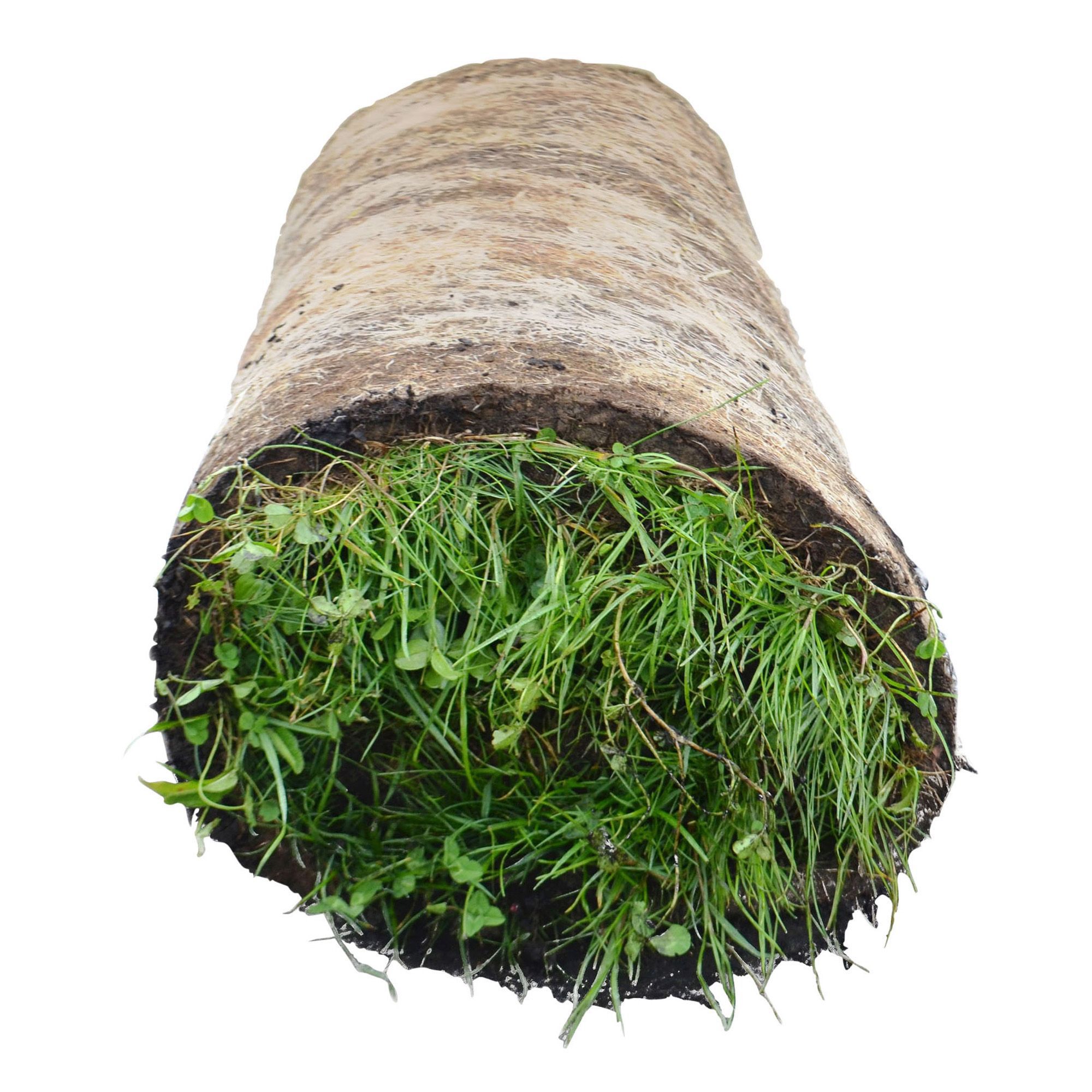 Meadowmat Wildflower turf, 20m² Pack | £495 at B&Q
