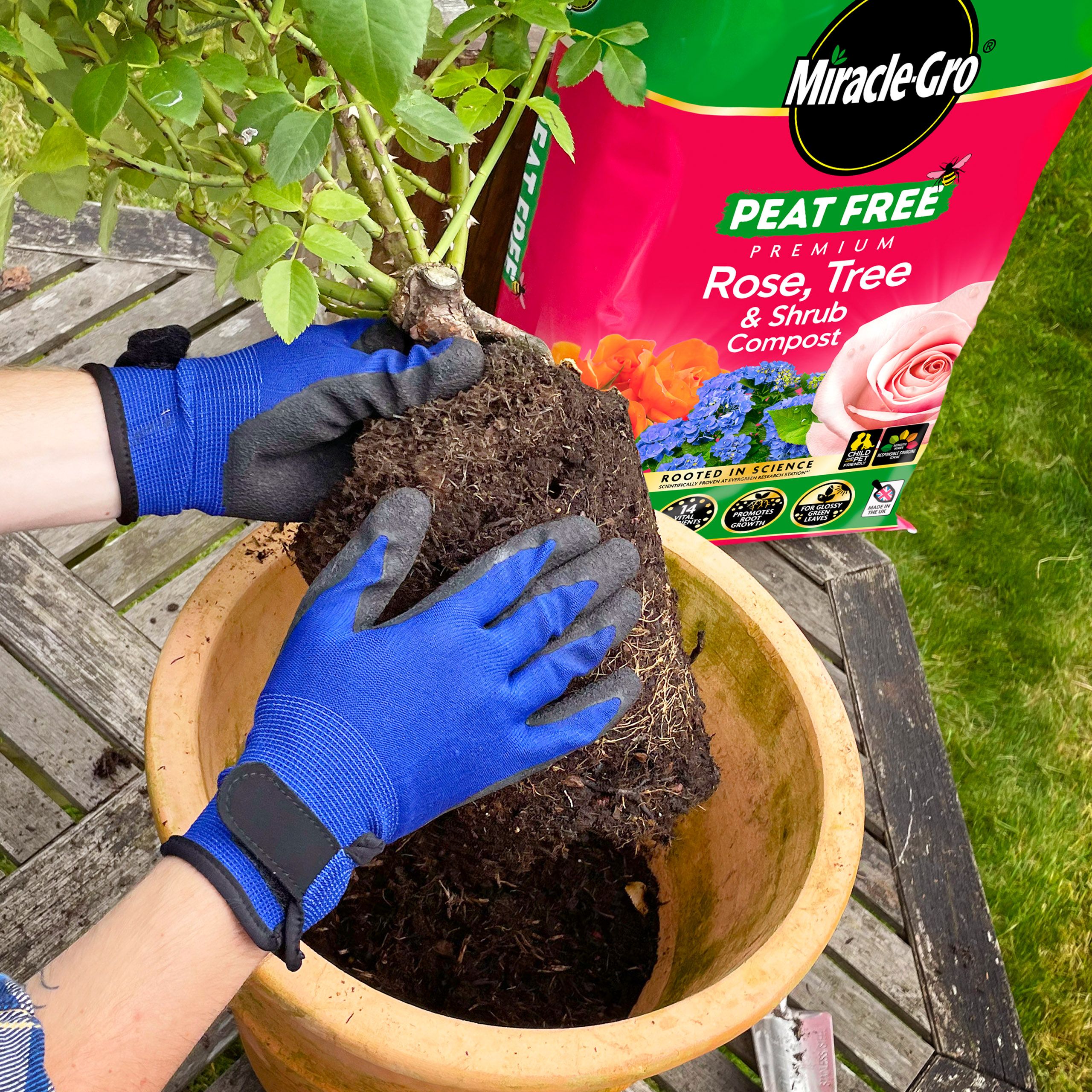 Miracle-Gro Growing Media Peat-free Rose, shrub & tree Compost 40L