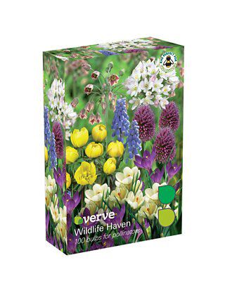 Mix Flower bulb | DIY at B&Q