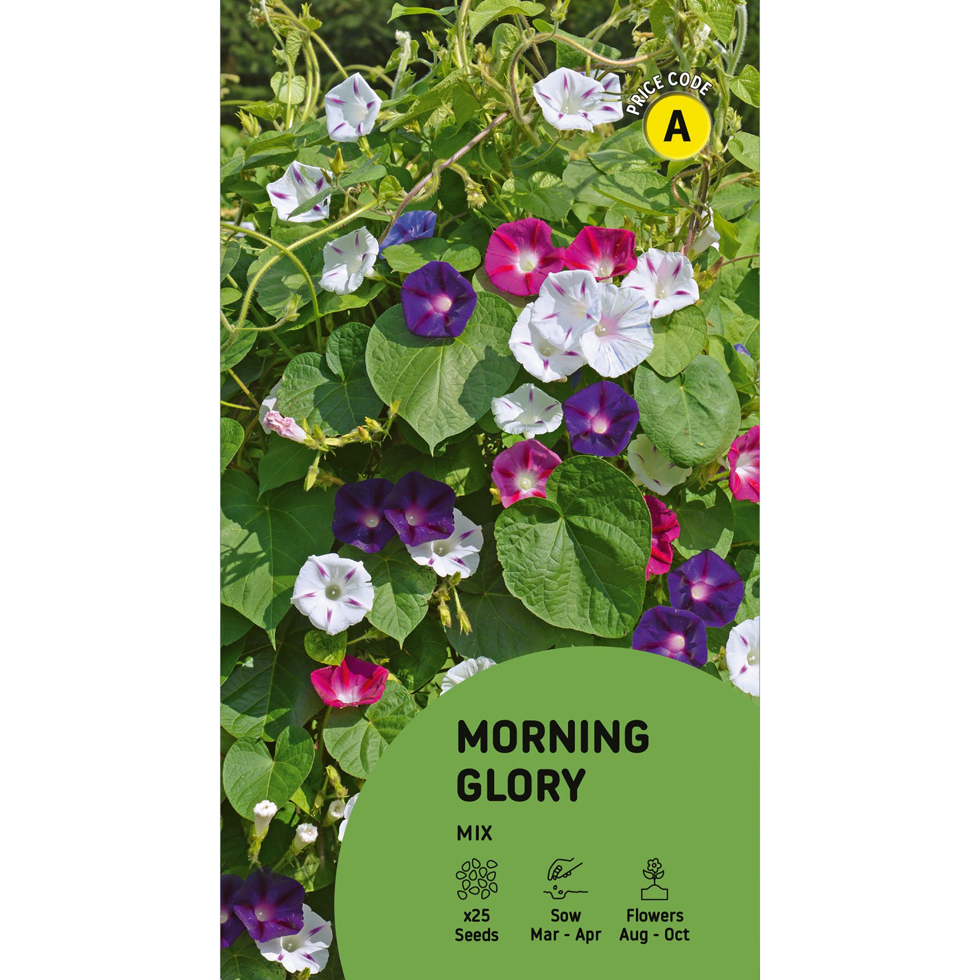 Mix Morning Glory Seeds
