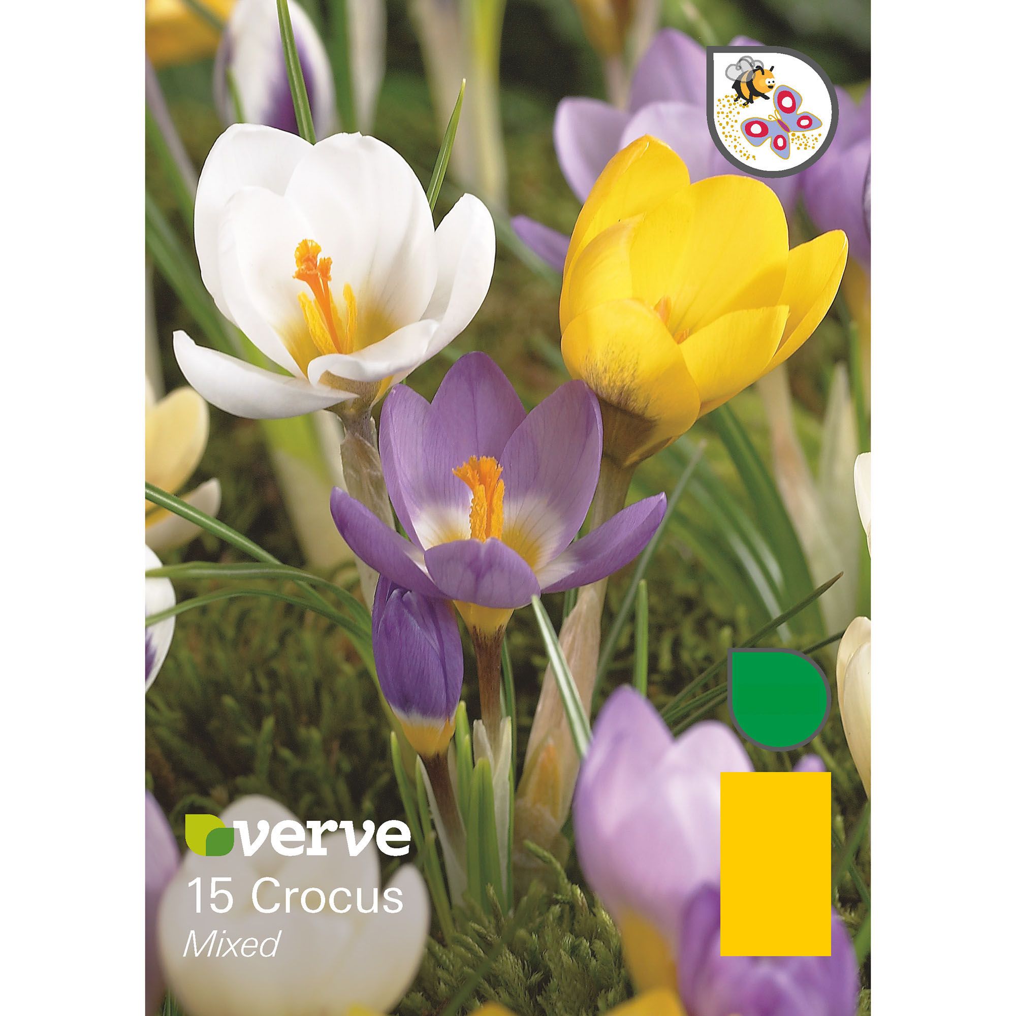 Mixed Flower bulb, Pack | DIY at B&Q