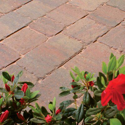 Monksbridge Royale Block paving (L)200mm (W)100mm (T)60mm, Pack of 360 ...