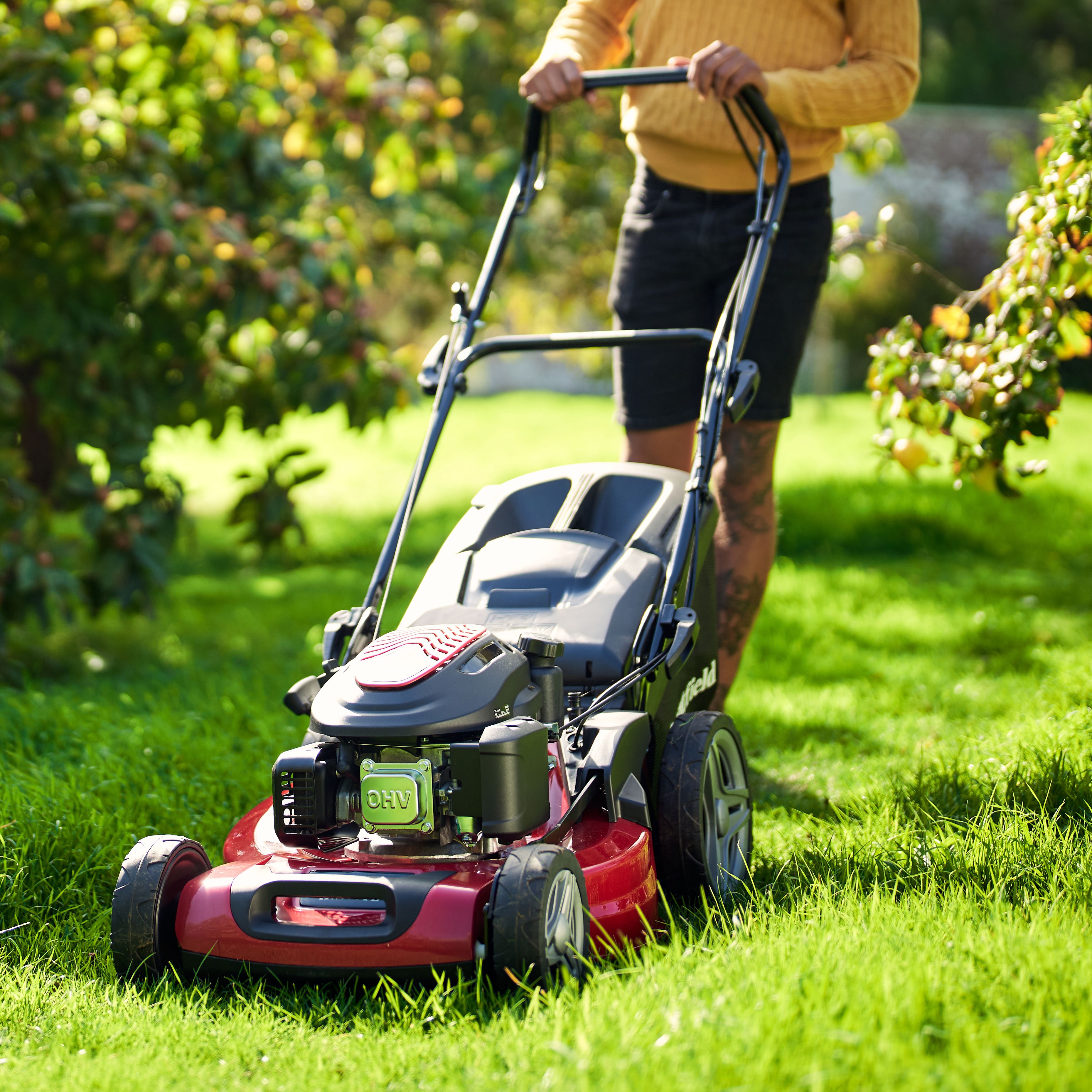 Mountfield 53cm store