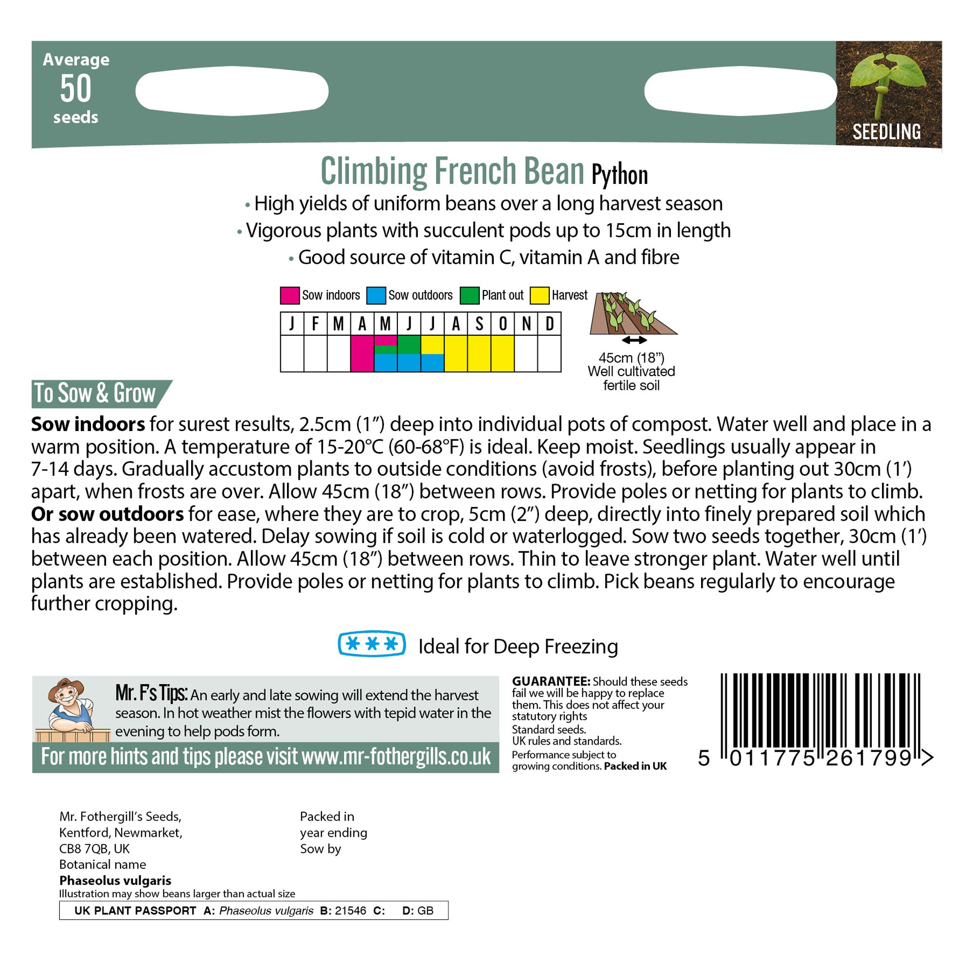 Mr Fothergills French bean 'Python' Vegetable Seeds