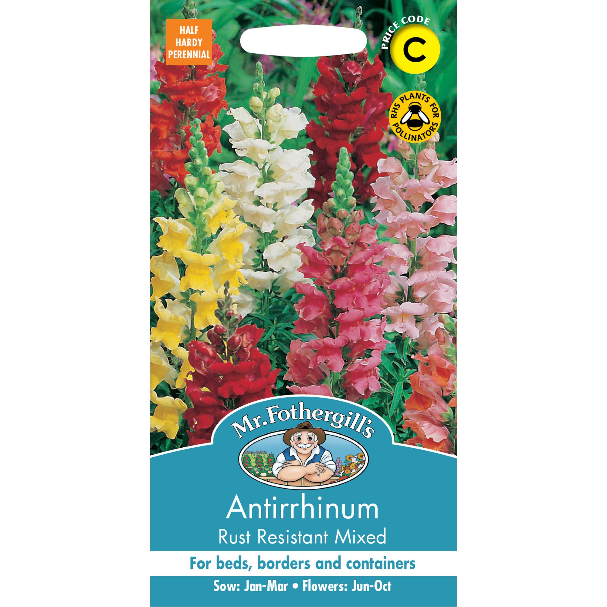 Mr Fothergills Mixed Rust Resistant Antirrhinum Flower Seeds