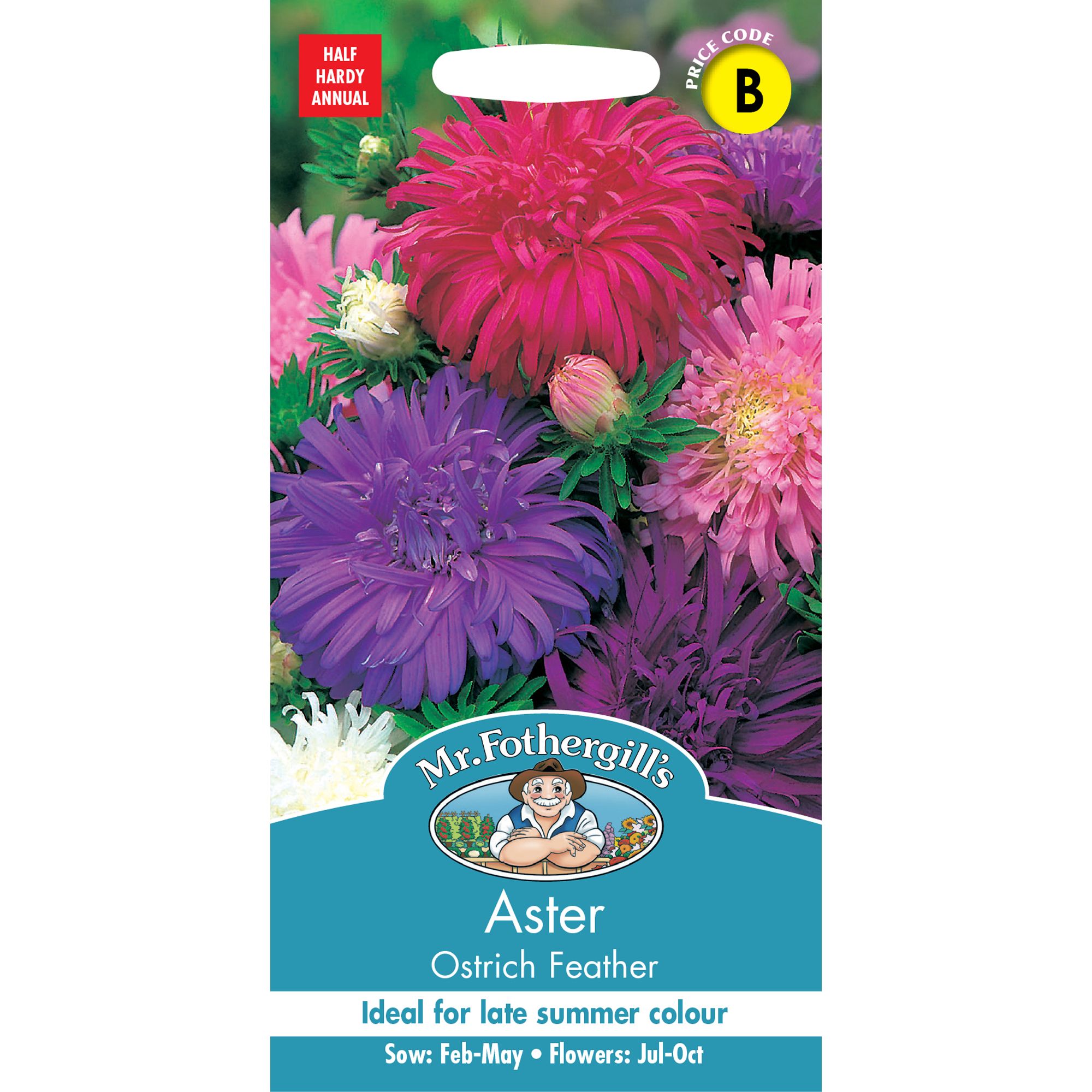 Mr Fothergills Ostrich Feather Aster Flower Seeds