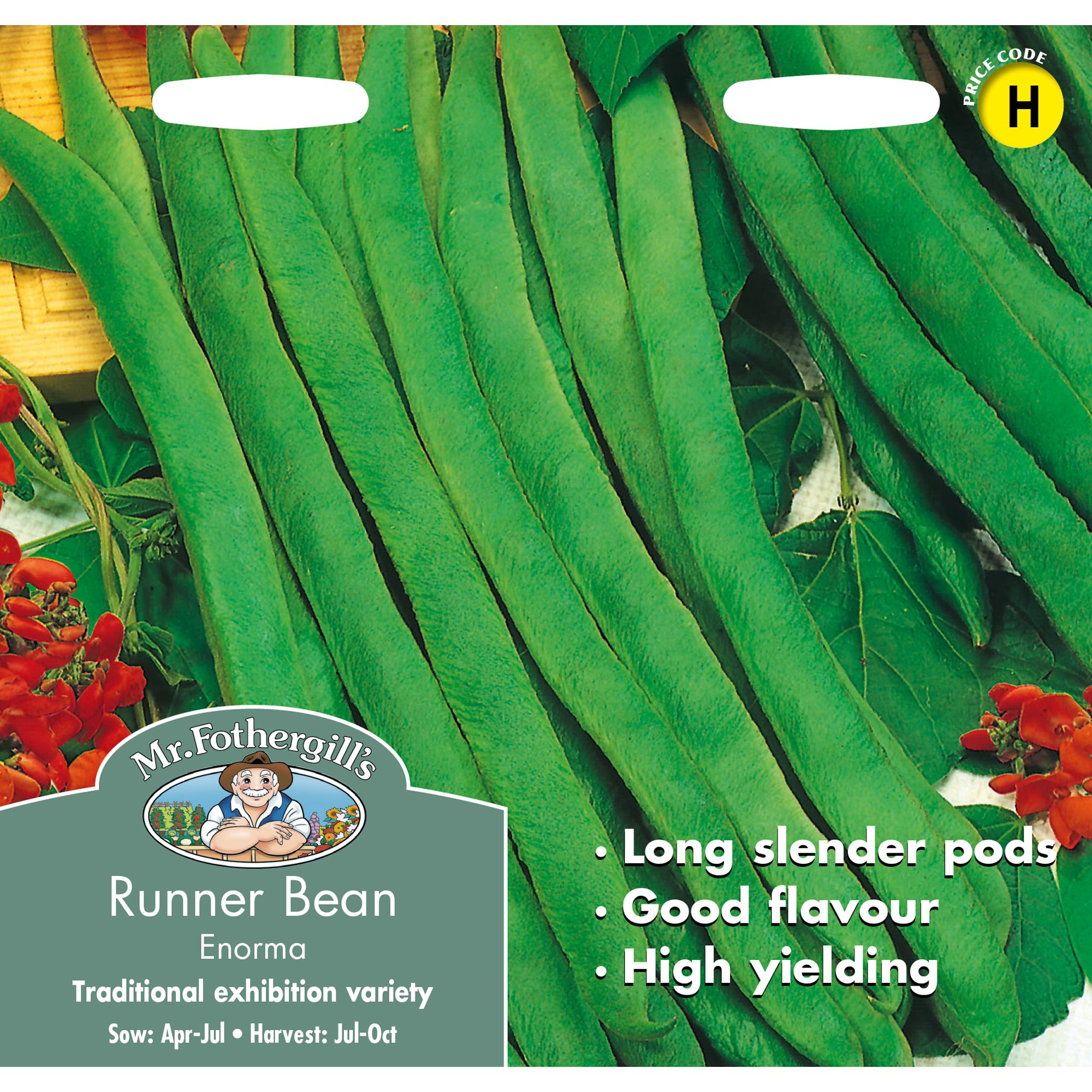 Mr Fothergills Runner bean 'Enorma' Vegetable Seeds