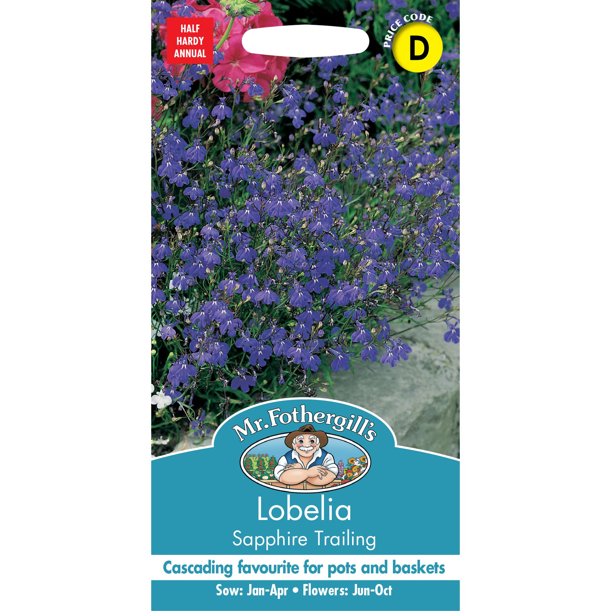 Mr Fothergills Sapphire Trailing Lobelia Flower Seeds