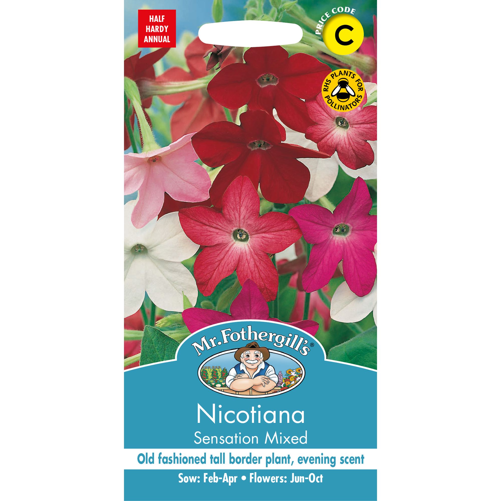 Mr Fothergills Sensation Mixed Nicotiana Flower Seeds