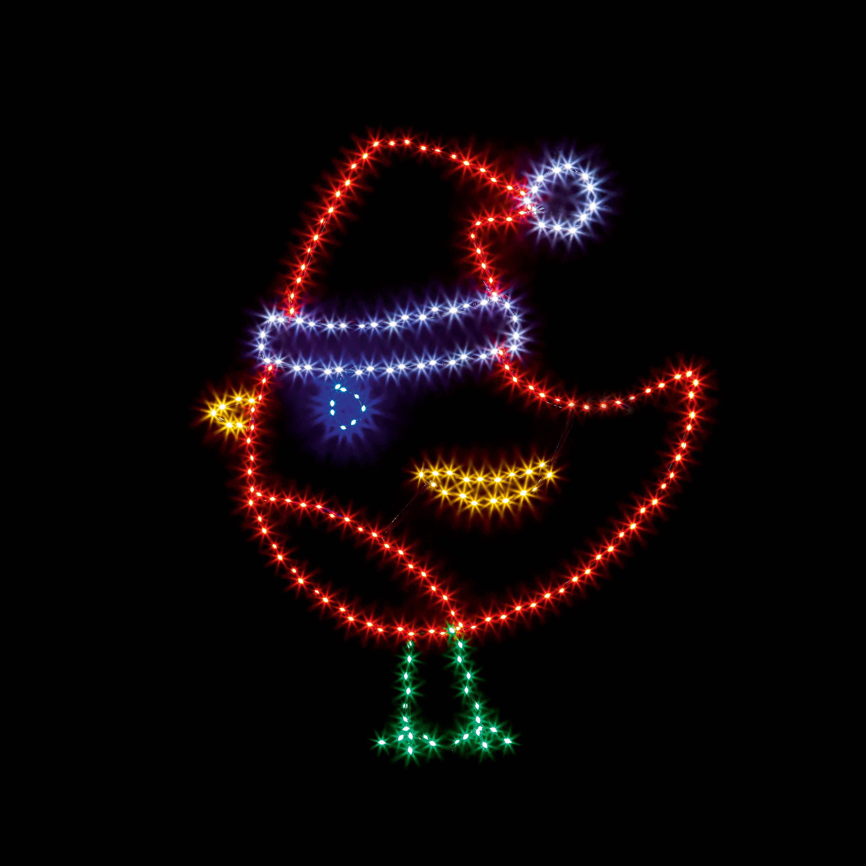 Multicolour LED Robin Silhouette (H) 960mm