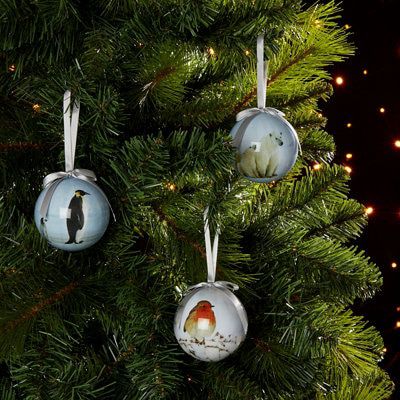 Multicolour Plastic Decoupage Photographic Robin Bauble | DIY at B&Q