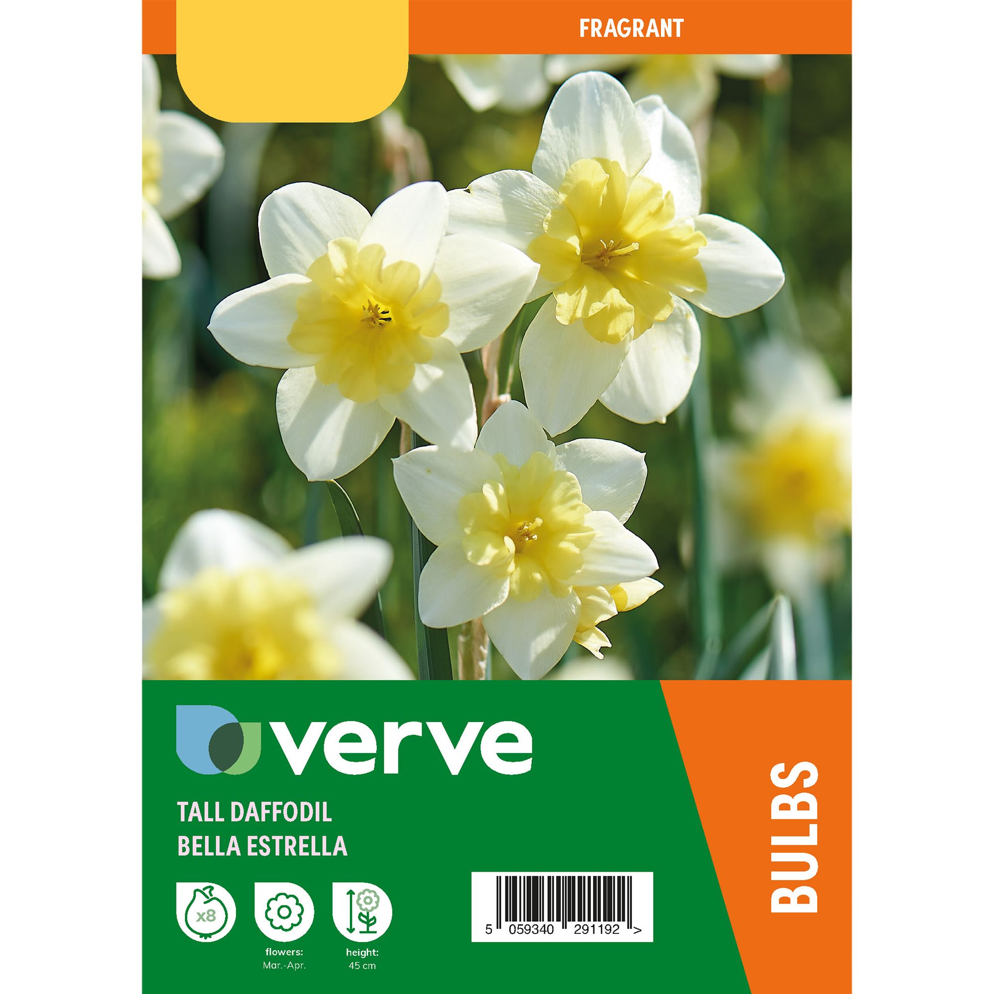 Narcissus Bella Estrella Yellow Flower bulb of 8 | DIY at B&Q
