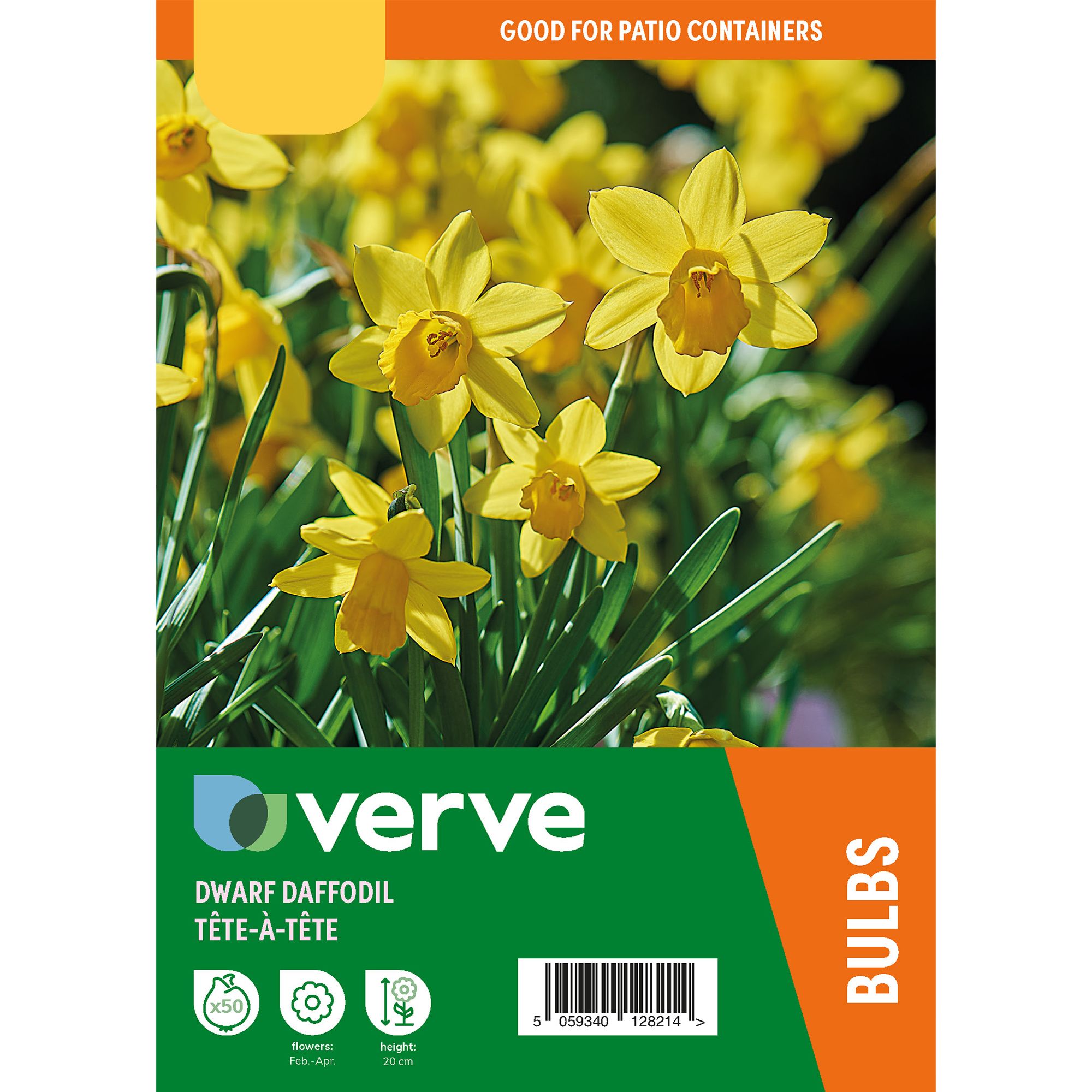 Narcissus Tête-à-Tête Flower bulb of 50 | DIY at B&Q